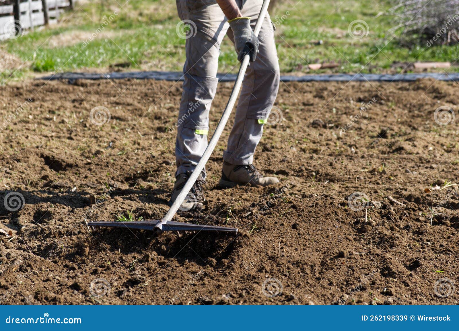 Farmer Loosening the Soil before Planting Stock Image - Image of plant ...