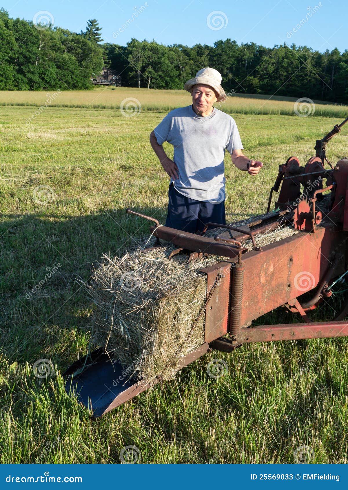 Farmer Making Hay Bales stock image. Image of senior - 25569033