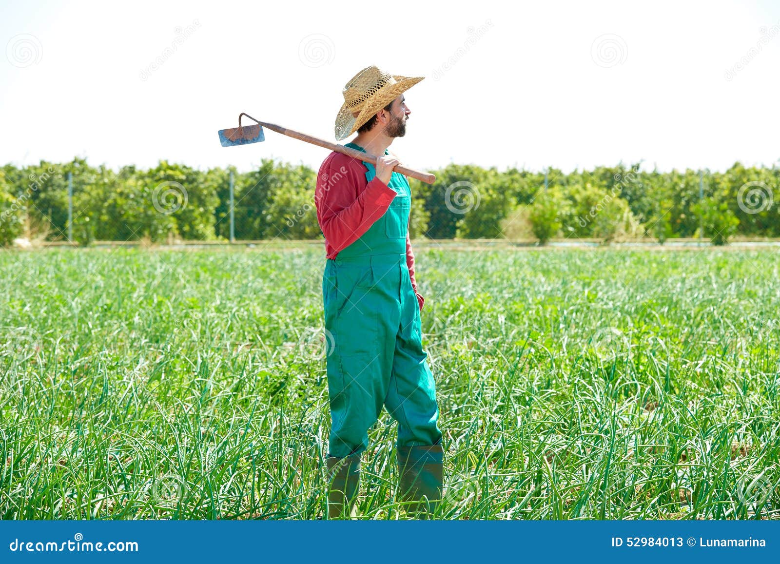 Farmer Man with Hoe Looking at His Field Stock Image - Image of natural ...