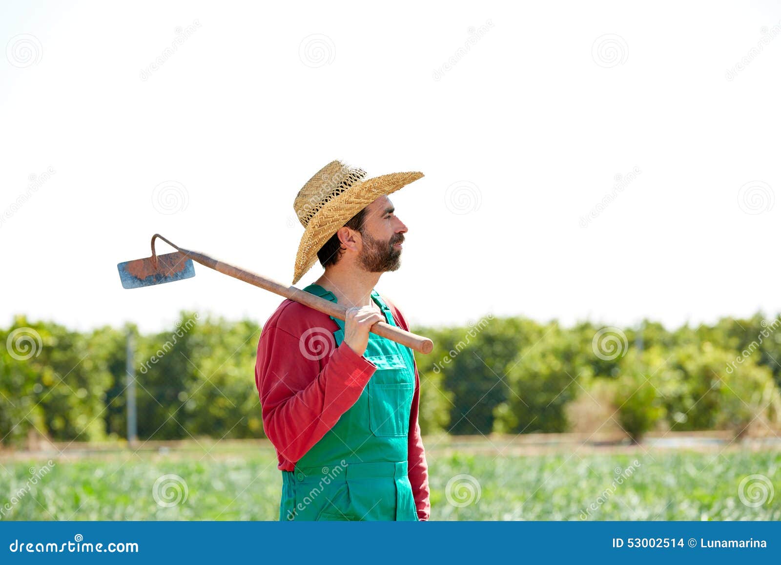 Farmer Man with Hoe Looking at His Field Stock Photo - Image of organic ...