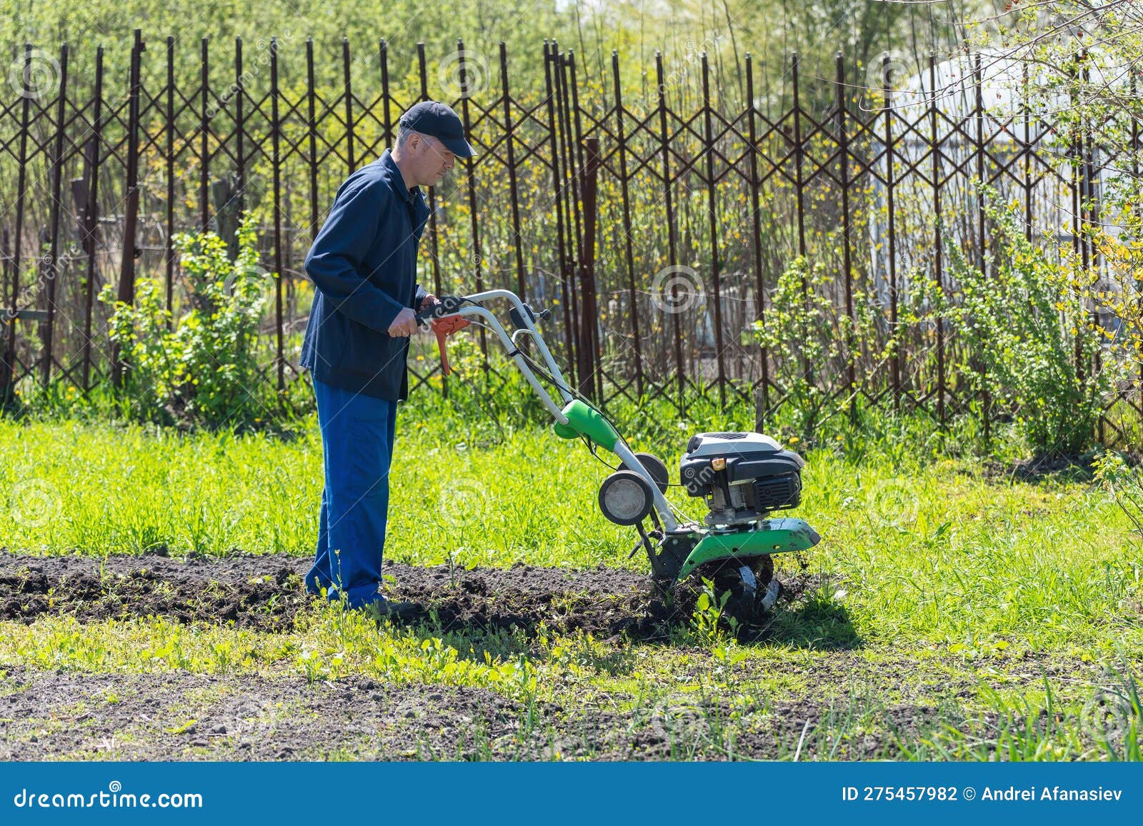 Farmer Man Plows the Land with a Cultivator Preparing the Soil for ...