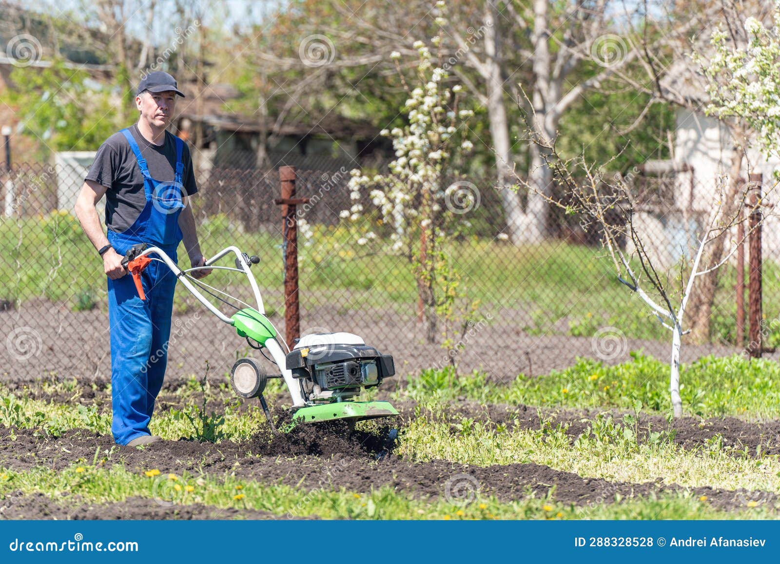 Farmer Man Plows the Land with a Cultivator Preparing the Soil for ...