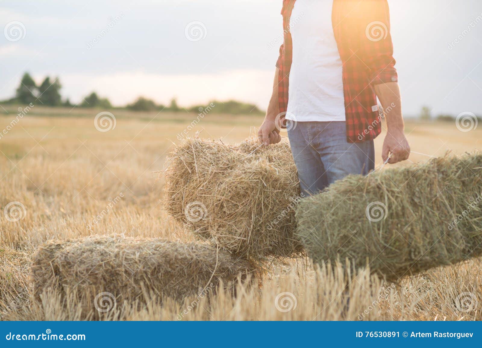 Farmer Man with Straw Bales Stock Image - Image of corn, agriculture ...