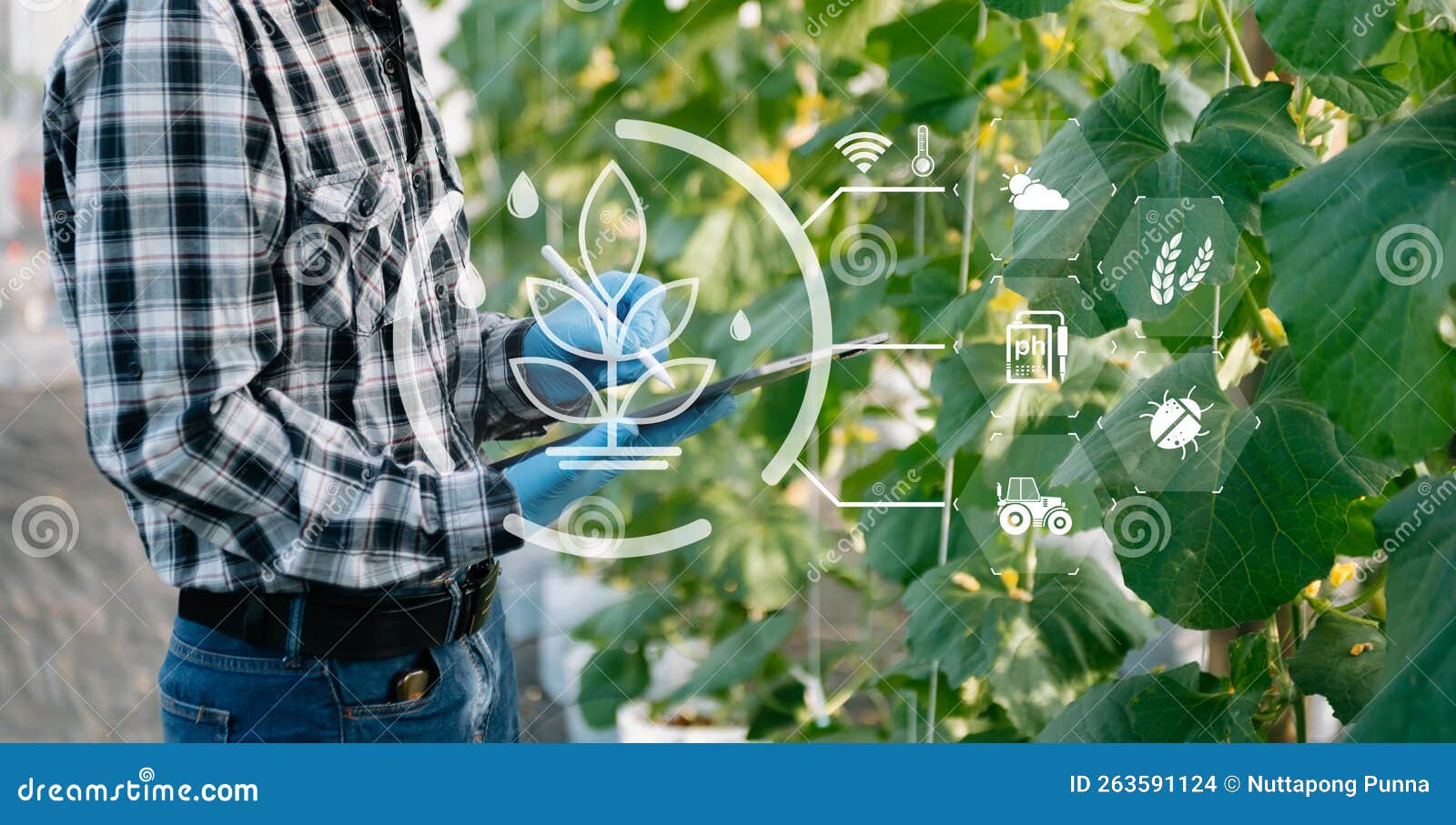 Farmer Man Using Digital Tablet Computer in Field, Technology ...