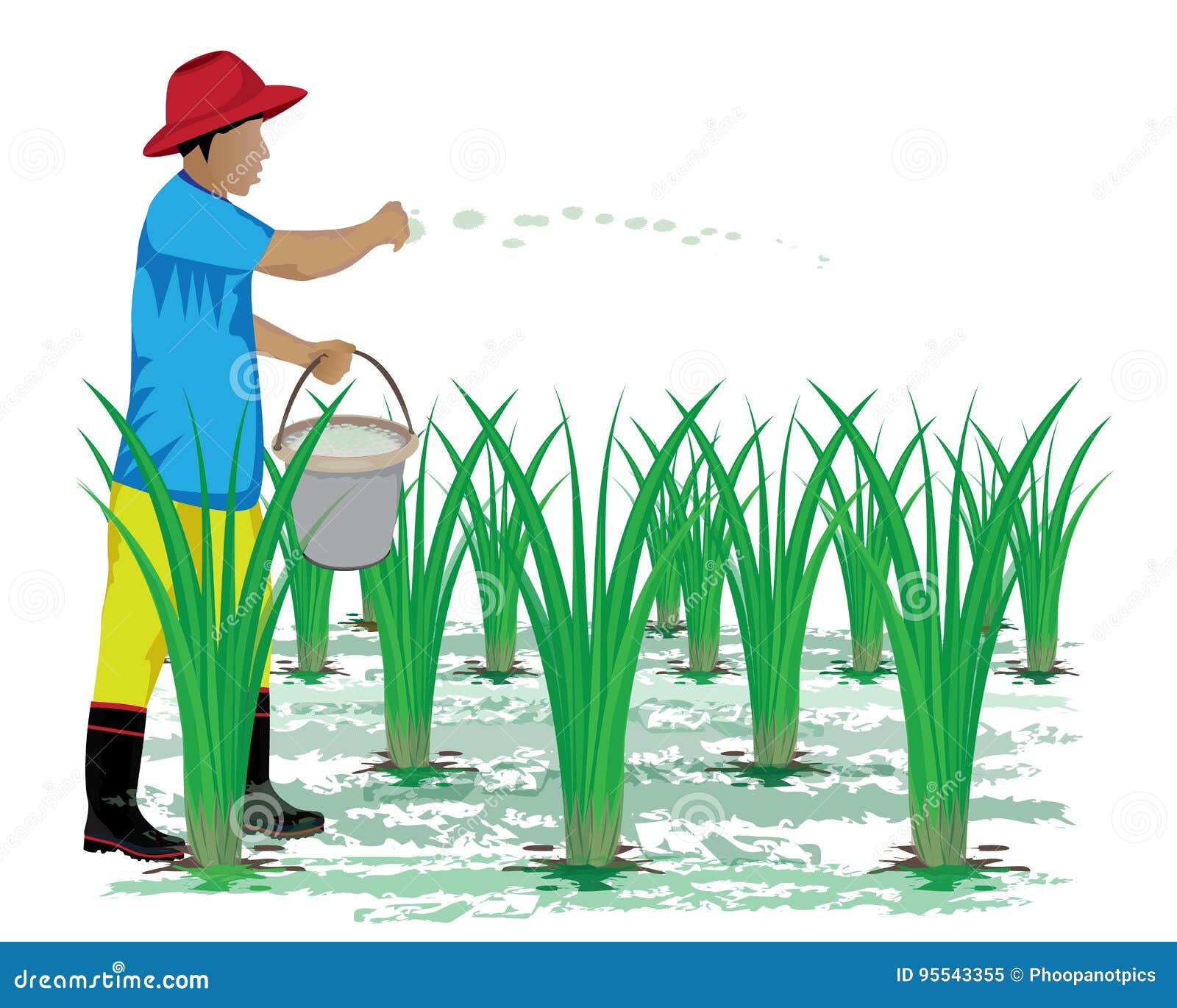 Farmer manure rice plant stock vector. Illustration of agriculture ...