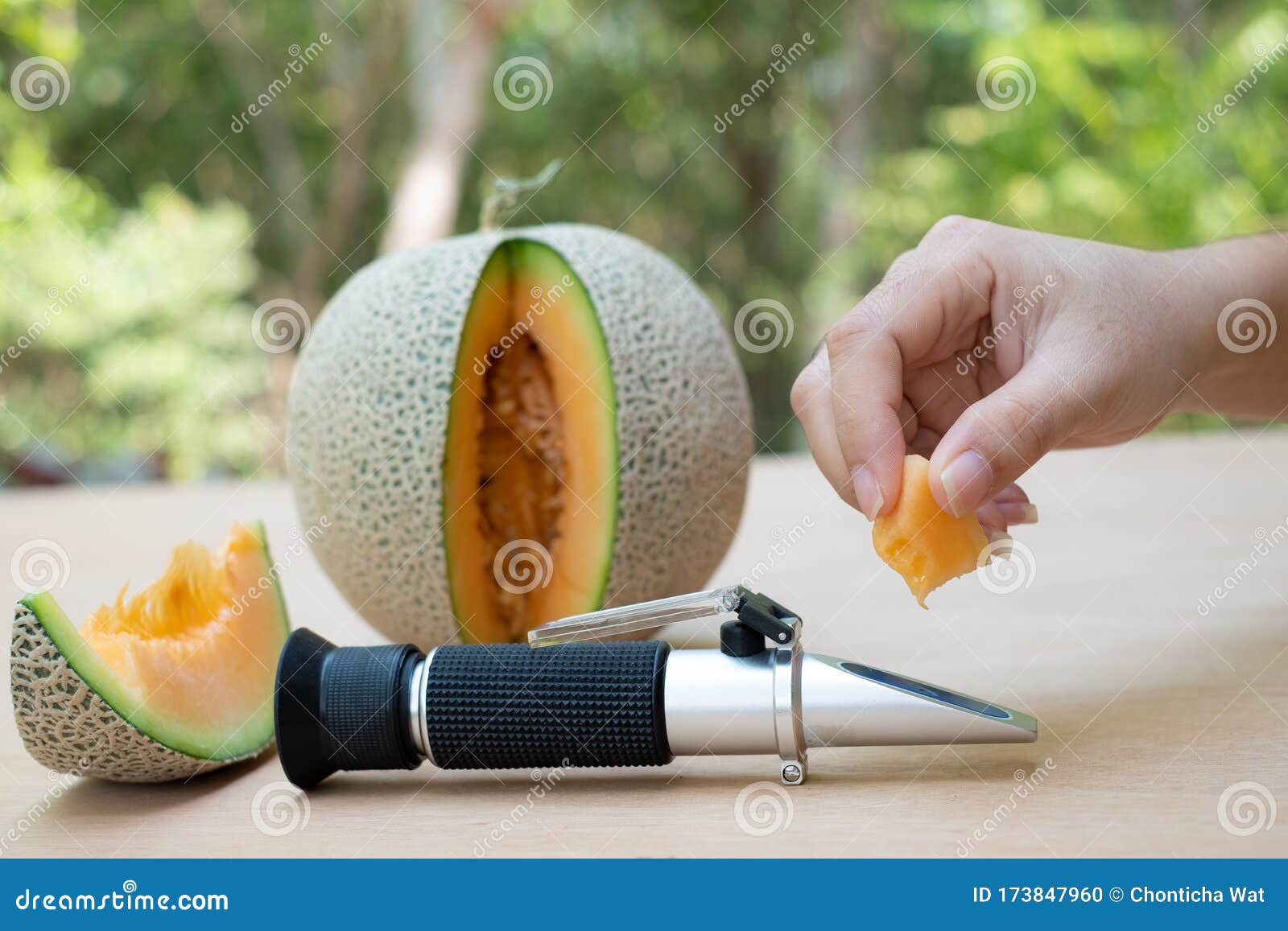 Brix Refractometer Sweet Test Tool Device For Measuring Sugar In ...