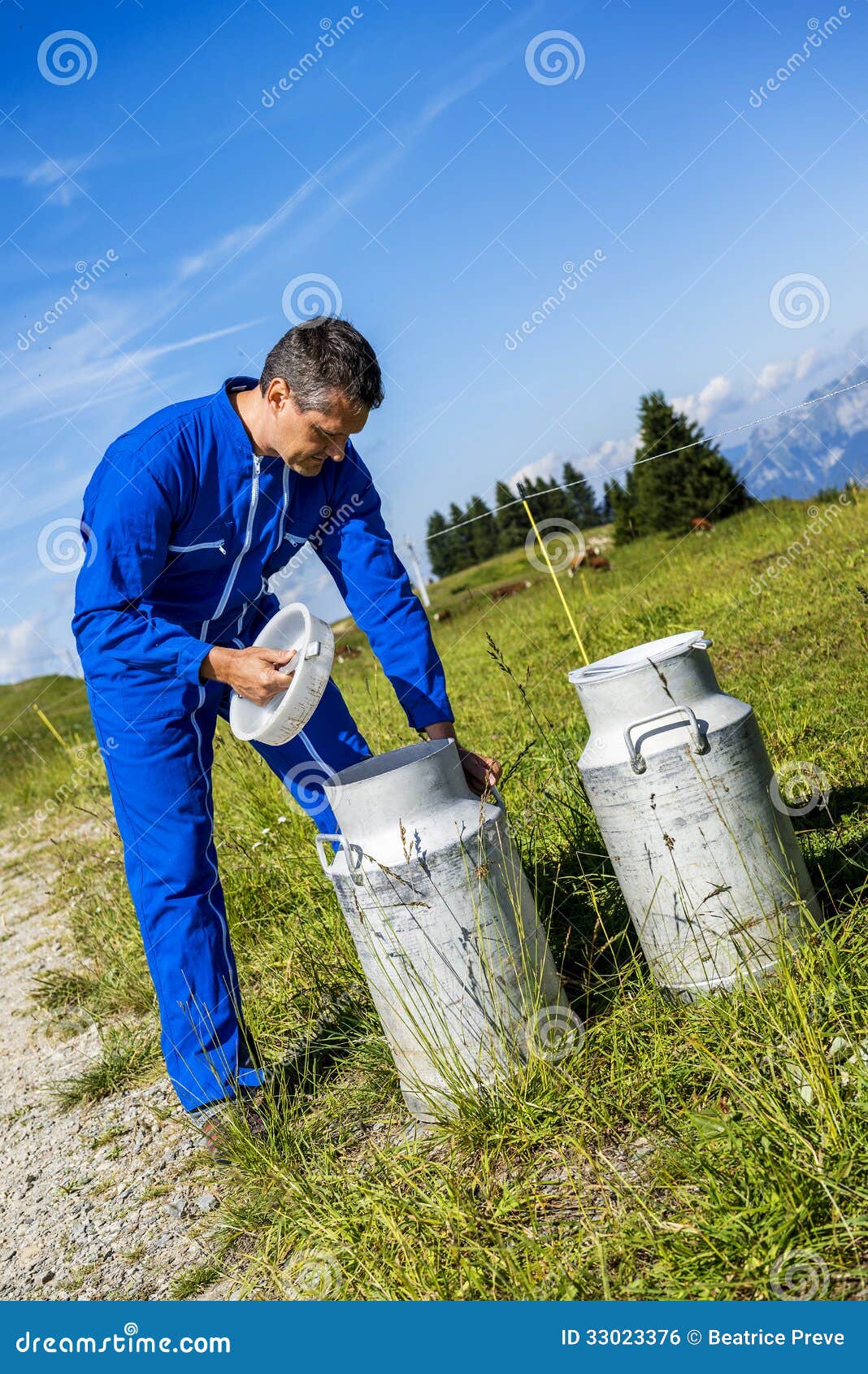 Farmer with Milk Containers Stock Photo - Image of animals, cattle ...