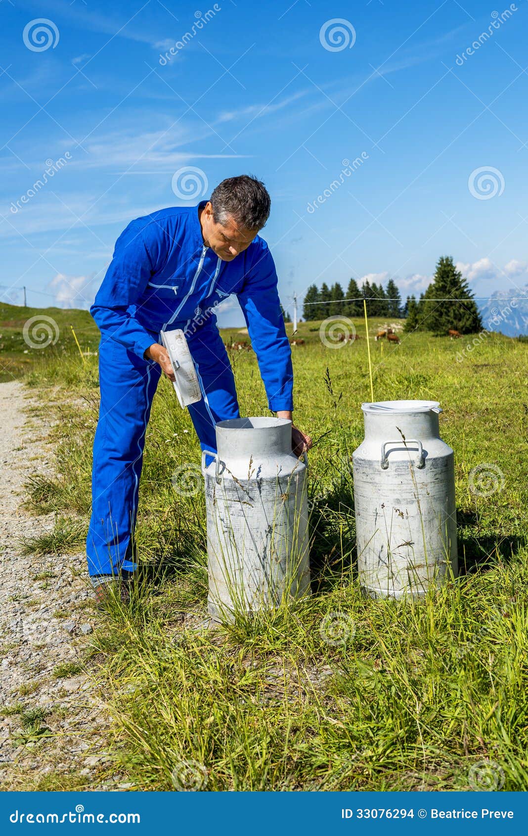 Farmer with Milk Containers Stock Photo - Image of field, animals: 33076294