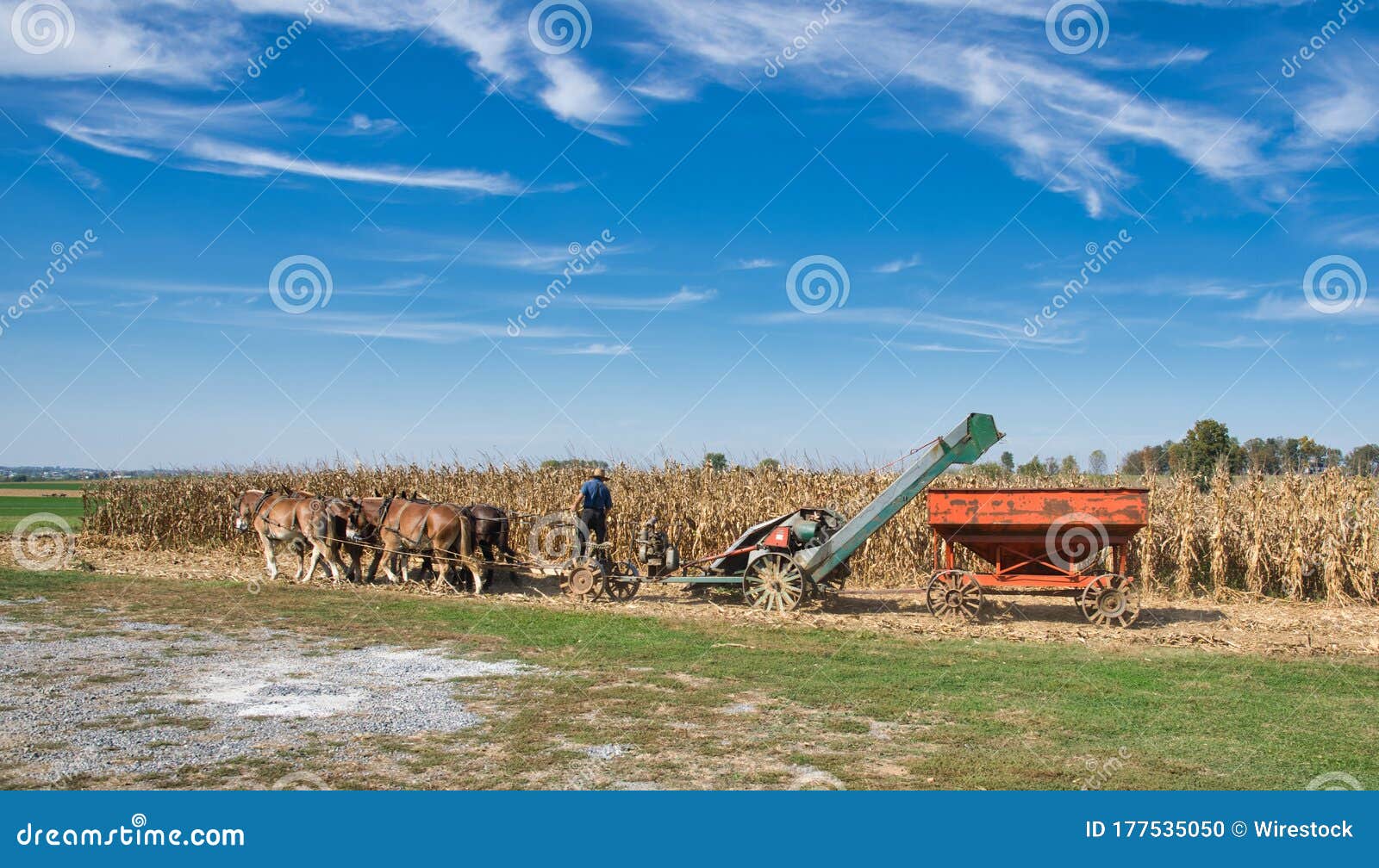 Farmer Near Donkeys Pulling Farming Equipment Stock Photo - Image of ...