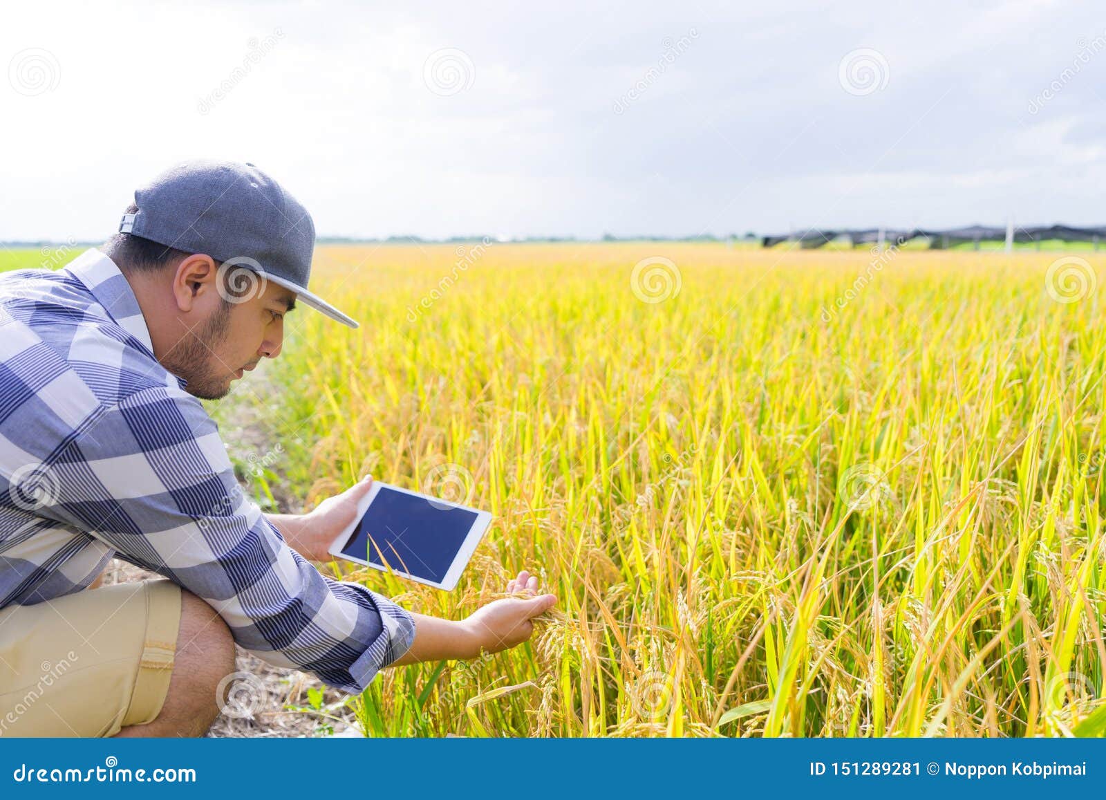 Farmer New Generation Using Tablet Computer for Research and Studying ...