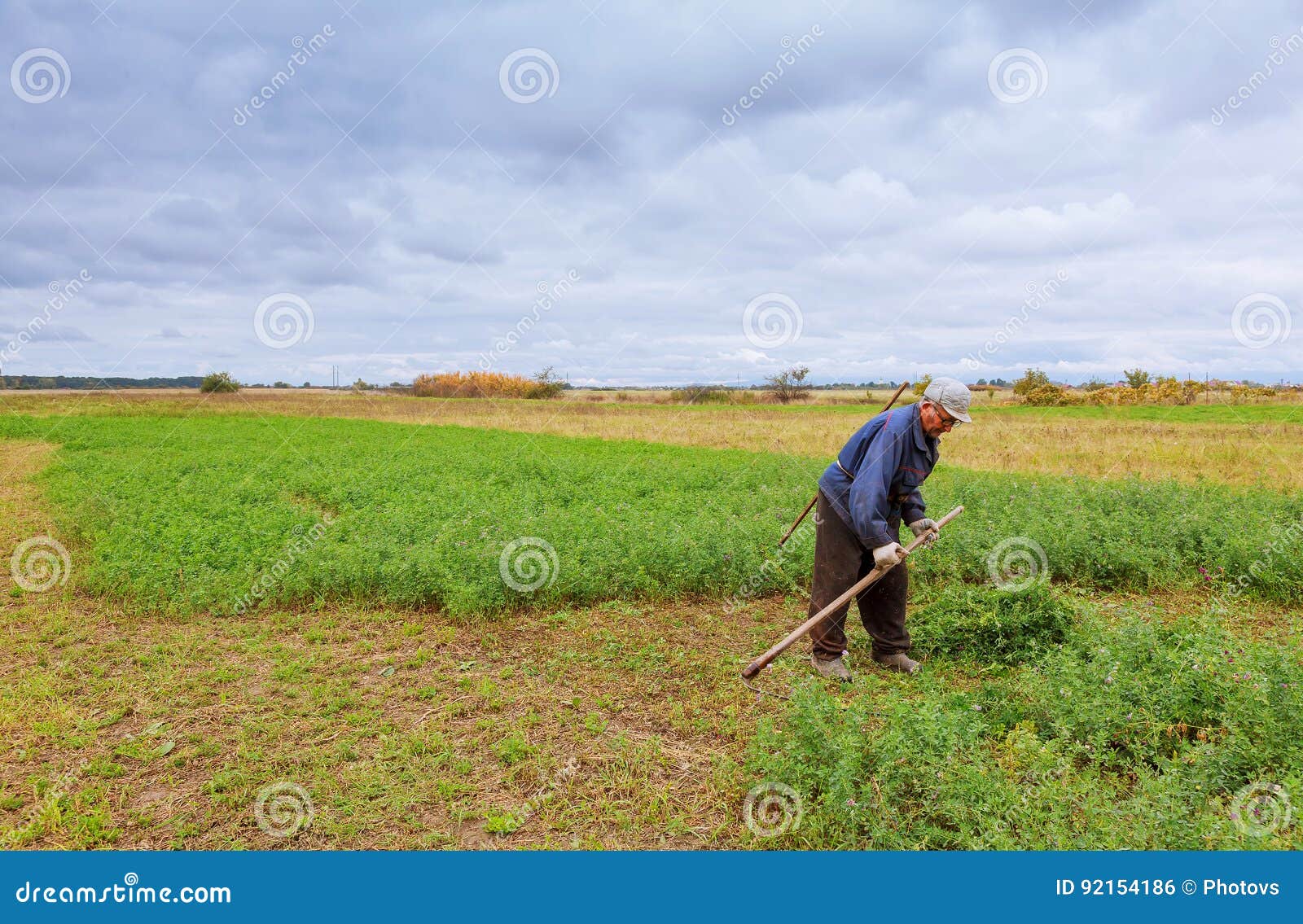 Farmer in Old Clothes Mows Grass in the Field Stock Photo - Image of ...