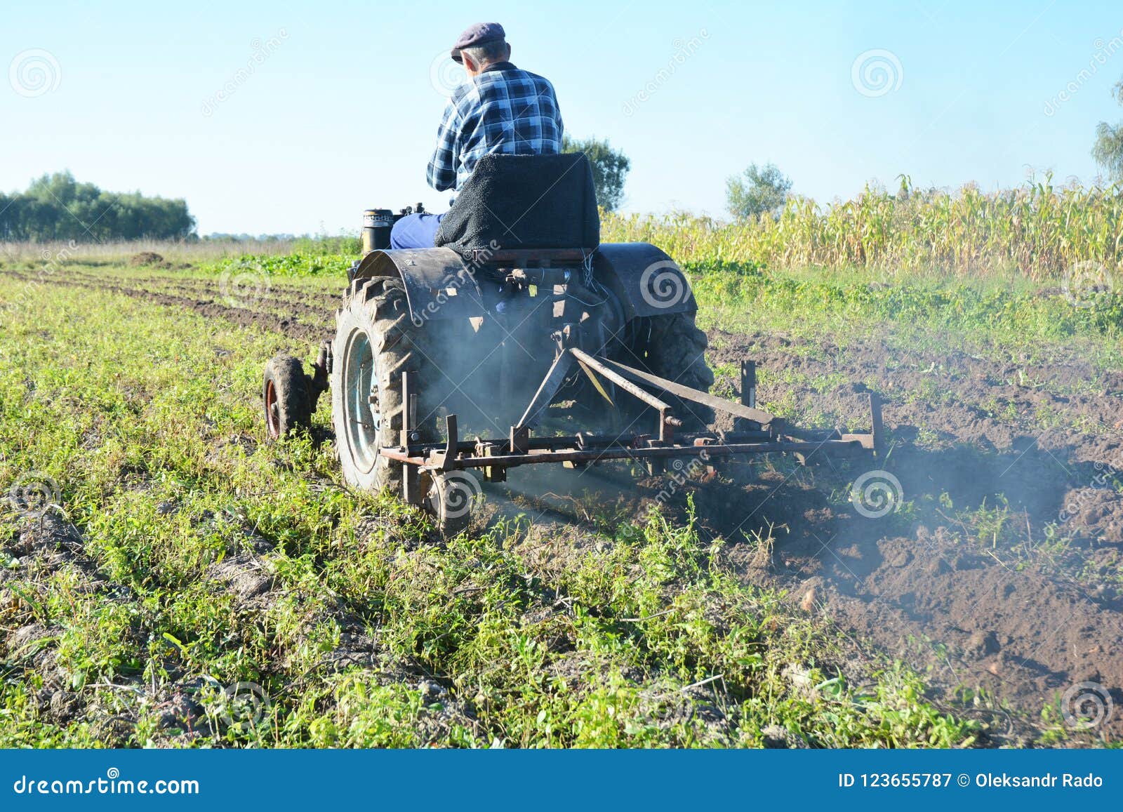 Farmer on Old Handmade Tractor Plowing on Potatoes Field. Editorial ...