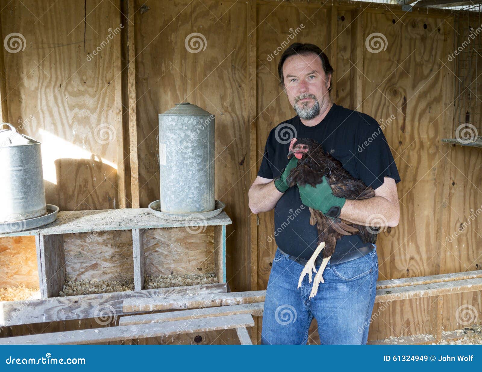 Farmer and One of His Free Range Chickens Stock Image - Image of cluck ...