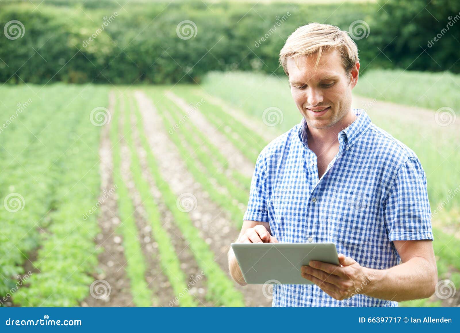Farmer on Organic Farm Using Digital Tablet Stock Image - Image of male ...