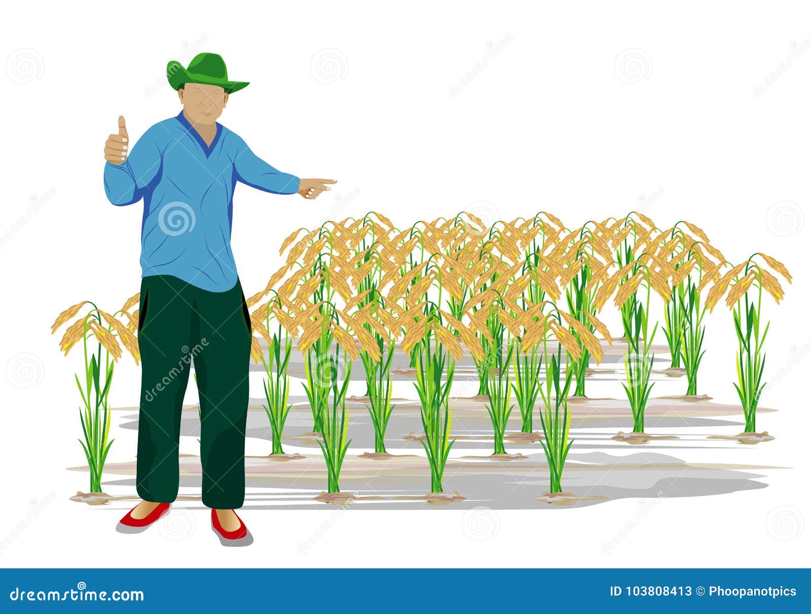 The farmer in paddy field stock vector. Illustration of food - 103808413