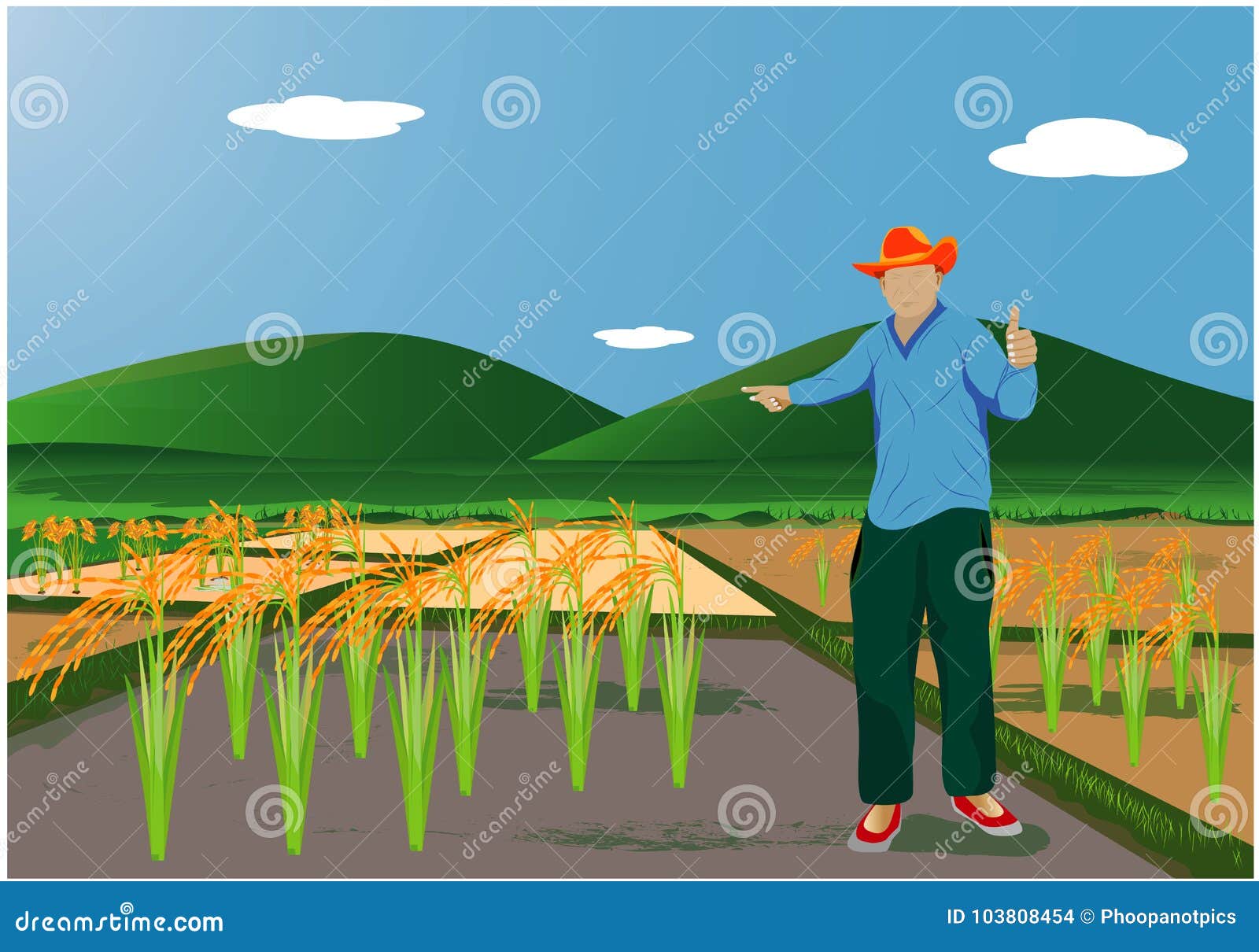 The farmer in paddy field stock vector. Illustration of paddy - 103808454