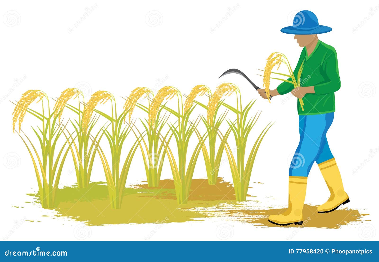 Farmer In Paddy Field Stock Illustration Illustration Of Agriculture