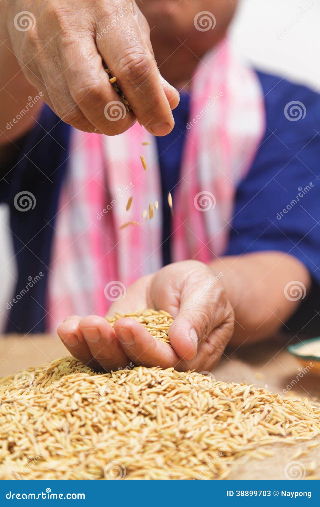 Farmer stock image. Image of hands, paddy, agriculture - 38899703