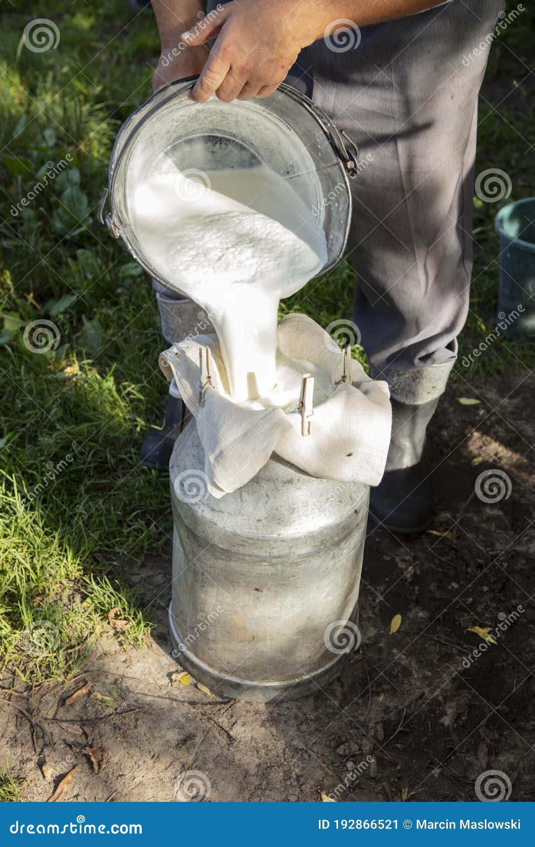 Farmer Passes the Milk through the Strainer, the Old Way of Cleaning ...