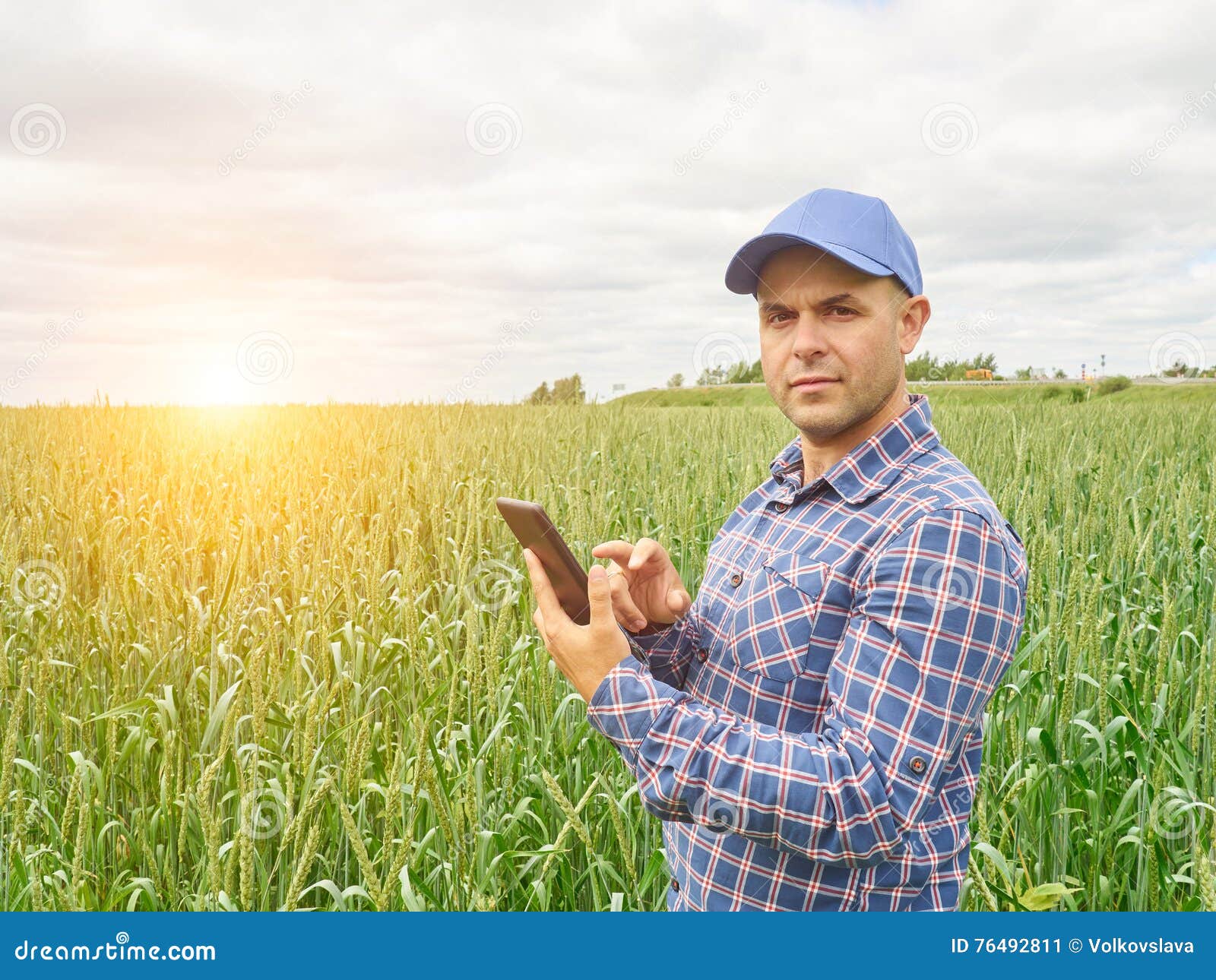 Farmer in Plaid Shirt Controlled His Field Looking at Tablet Stock ...
