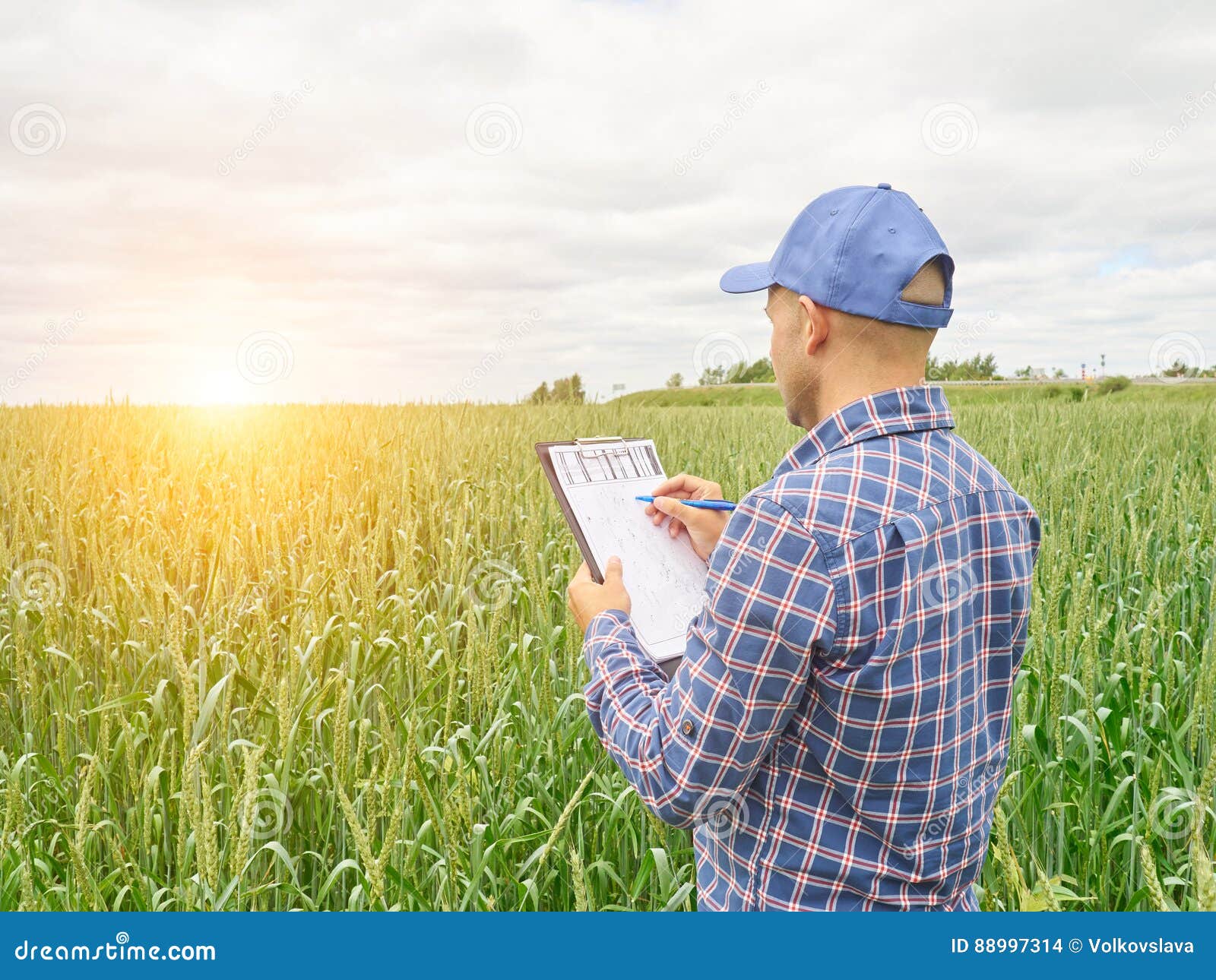 Farmer in Plaid Shirt Controlled His Field and Writing Notes Stock ...