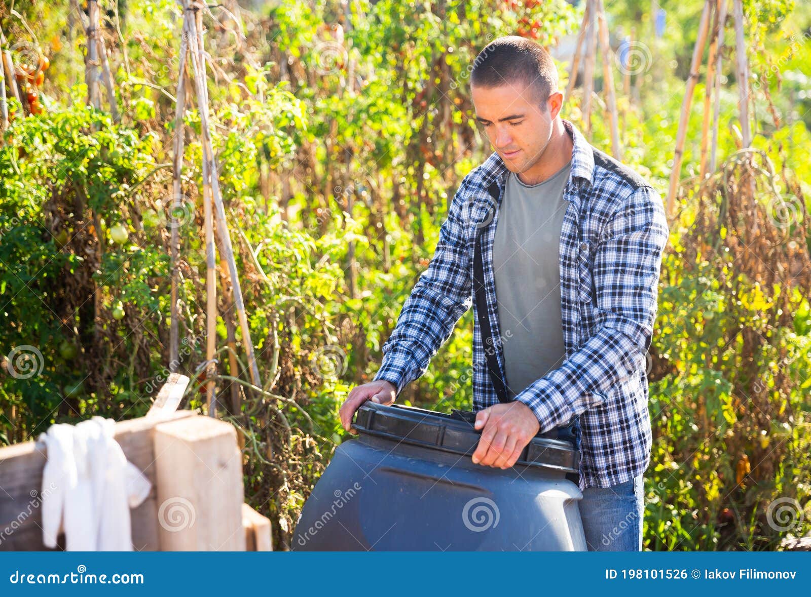Farmer with a Plastic Barrel in Summer Garden Stock Photo - Image of ...