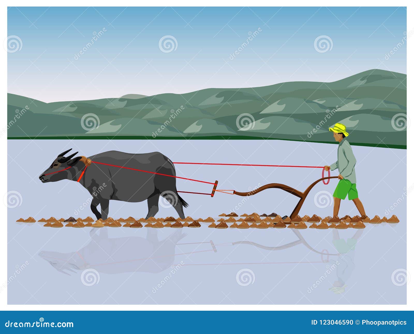 Farmer plow in paddy field stock vector. Illustration of design - 123046590