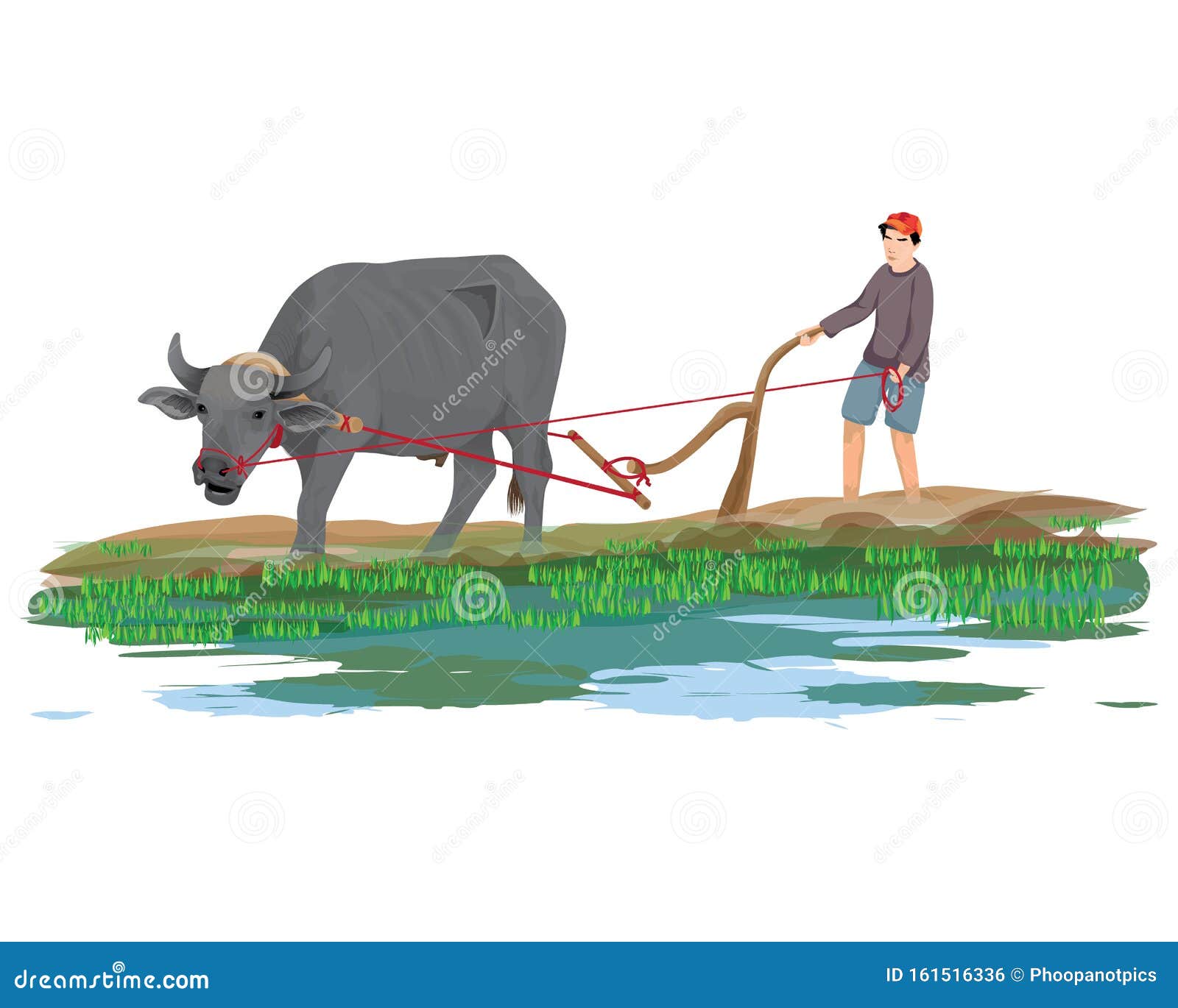 Farmer plow in paddy field stock vector. Illustration of countryside ...