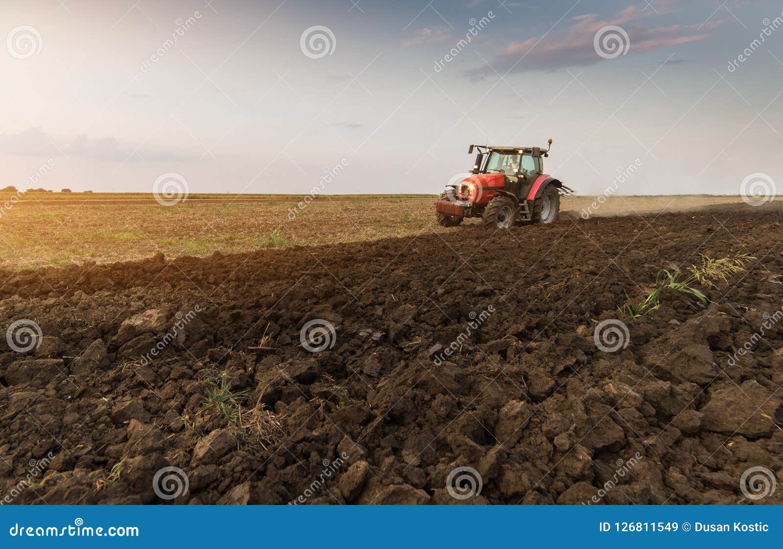 Farmer Plowing Stubble Field Stock Image - Image of machinery, natural ...