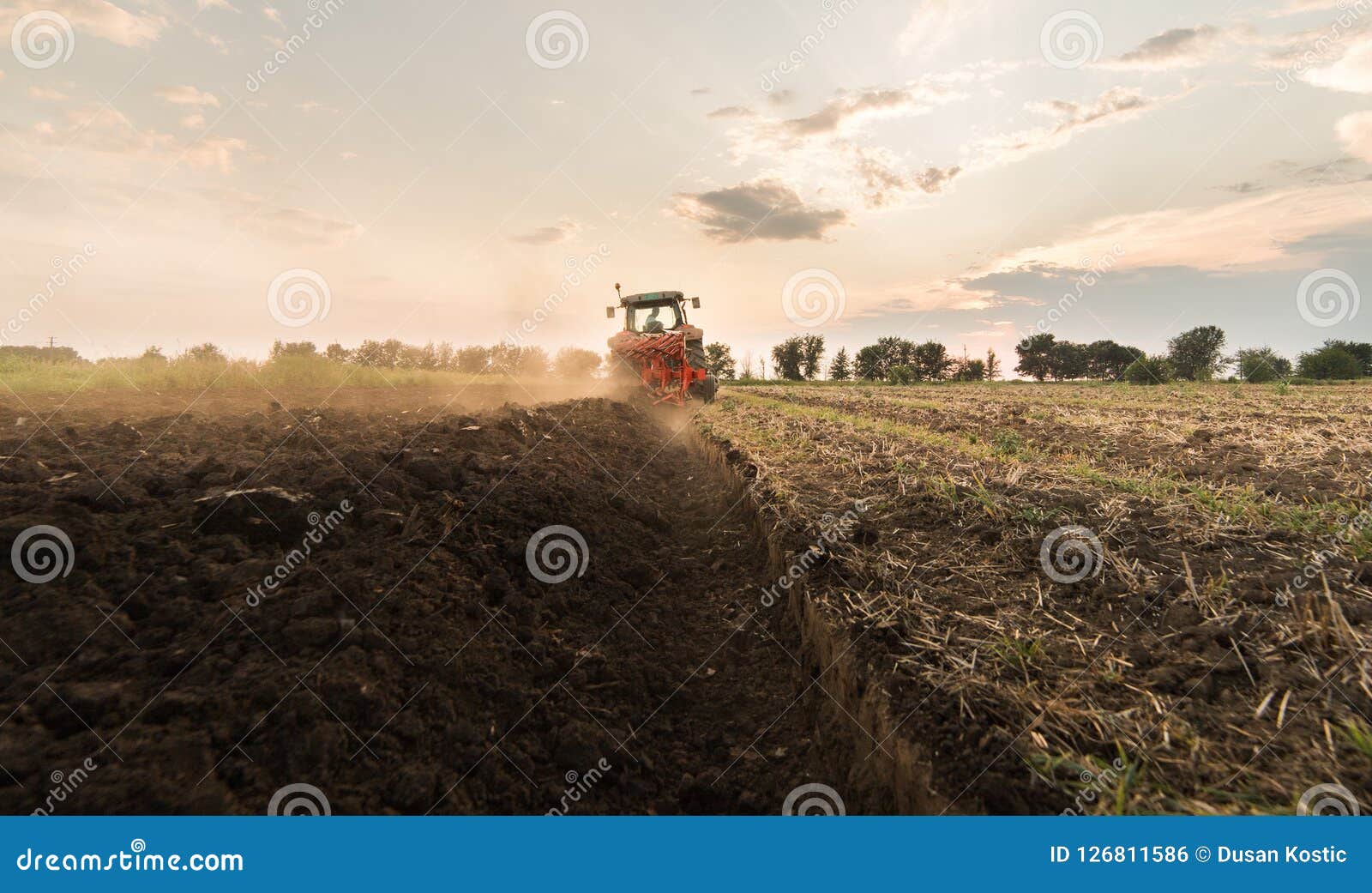 Farmer Plowing Stubble Field Stock Photo - Image of summer, plowing ...