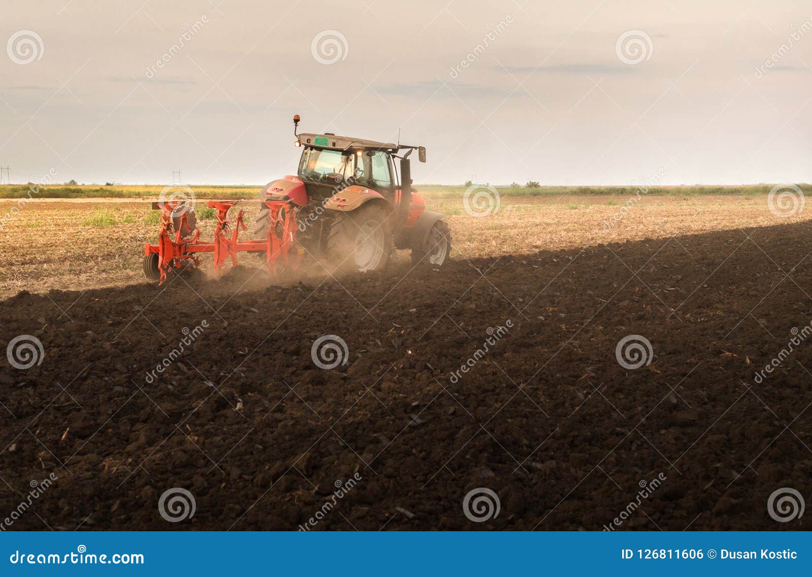 Farmer Plowing Stubble Field Stock Photo - Image of dirtied, land ...