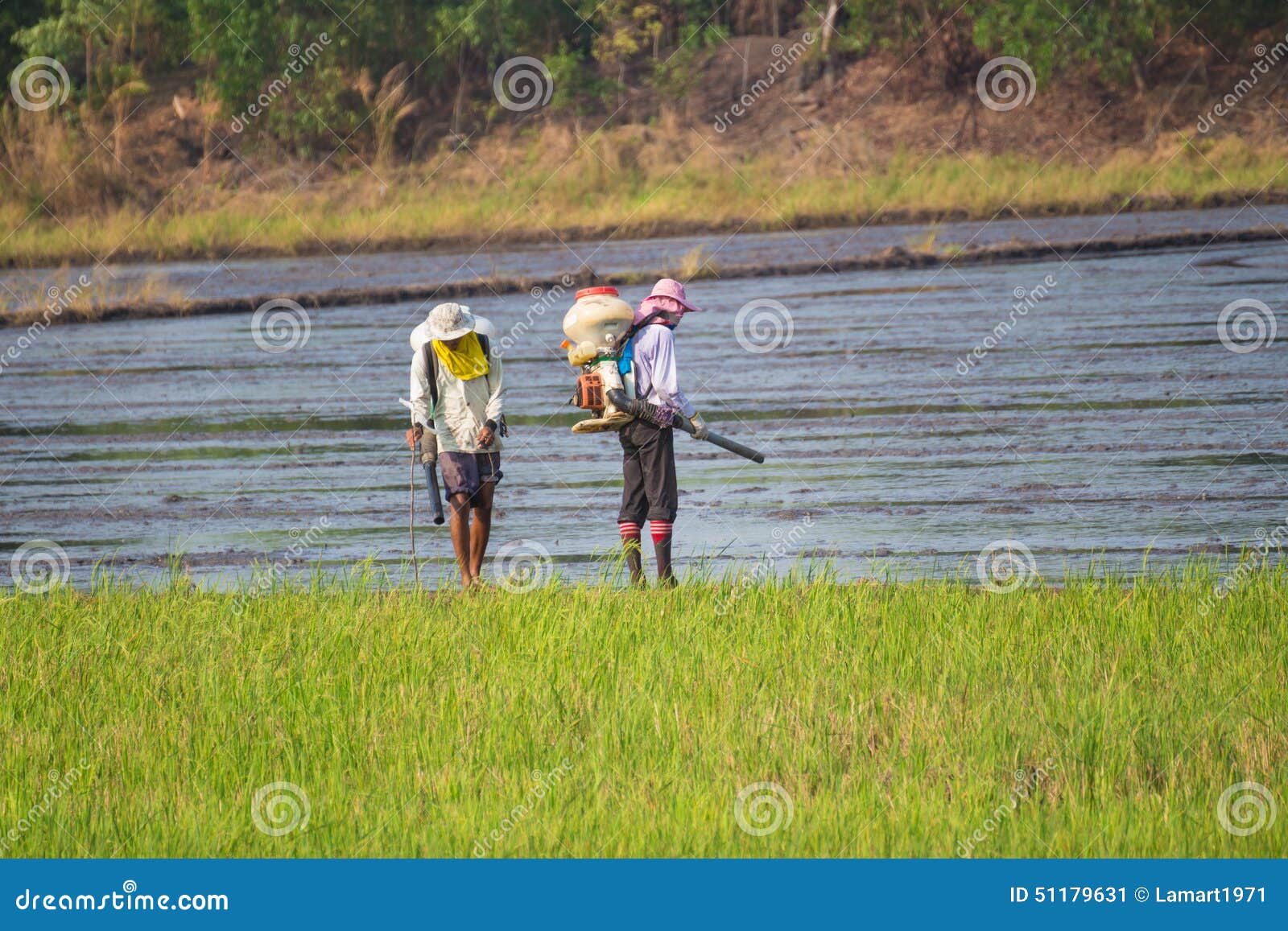 Farmer Prepare Sprayer Machine for Spray Insecticide Stock Image ...