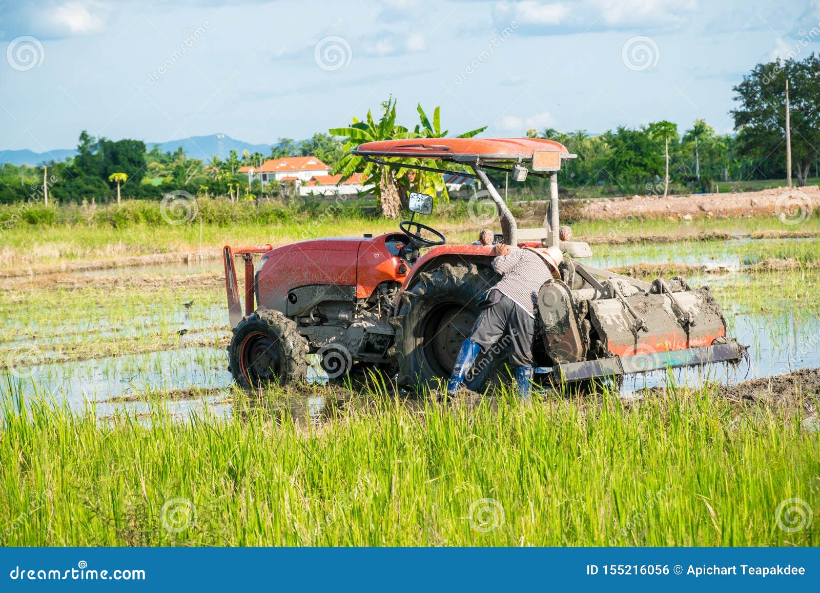 Farmer are Repairing Tractor Stock Photo - Image of ranch, agriculture ...