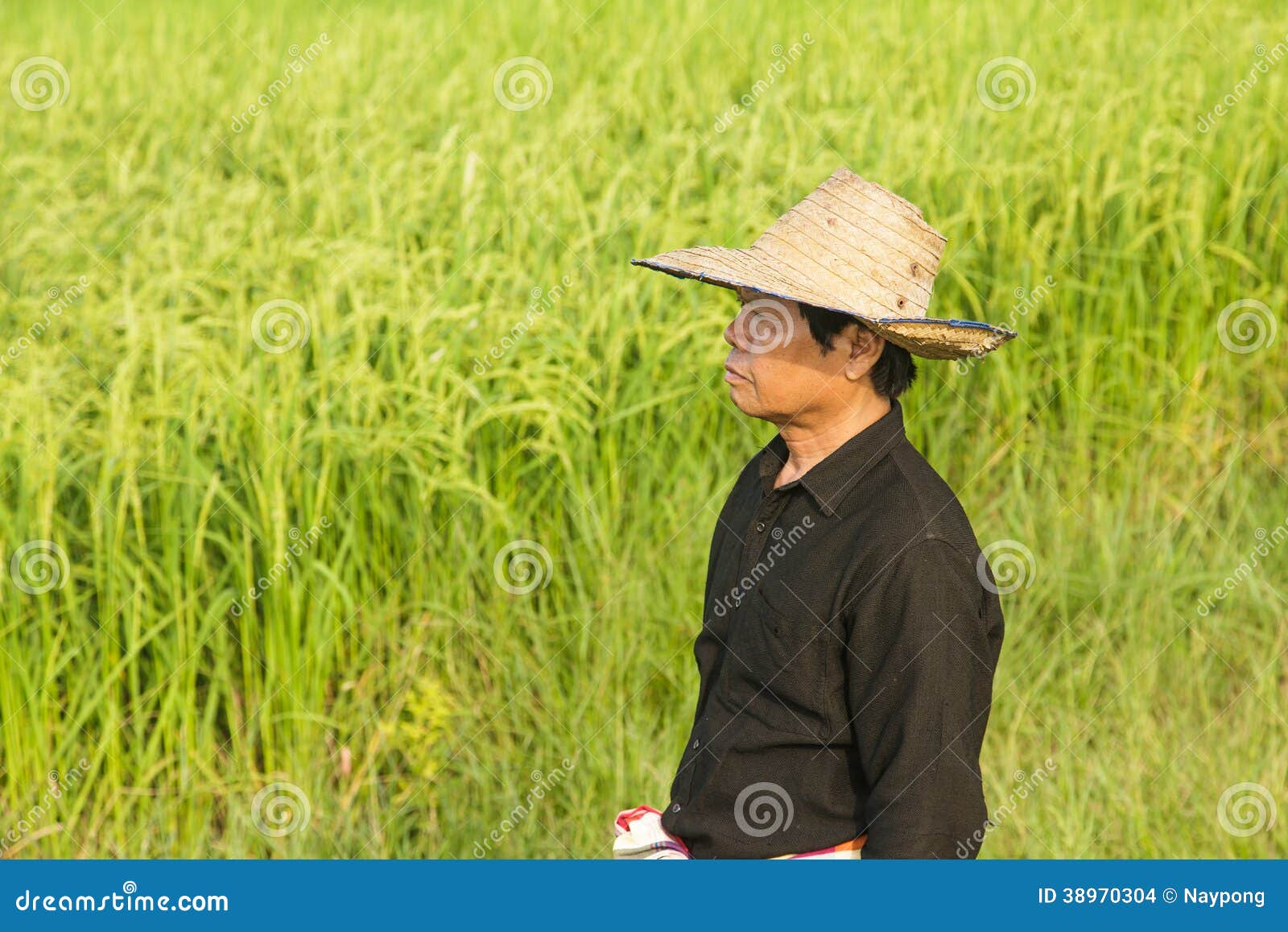 Farmer stock photo. Image of labor, people, culture, person - 38970304