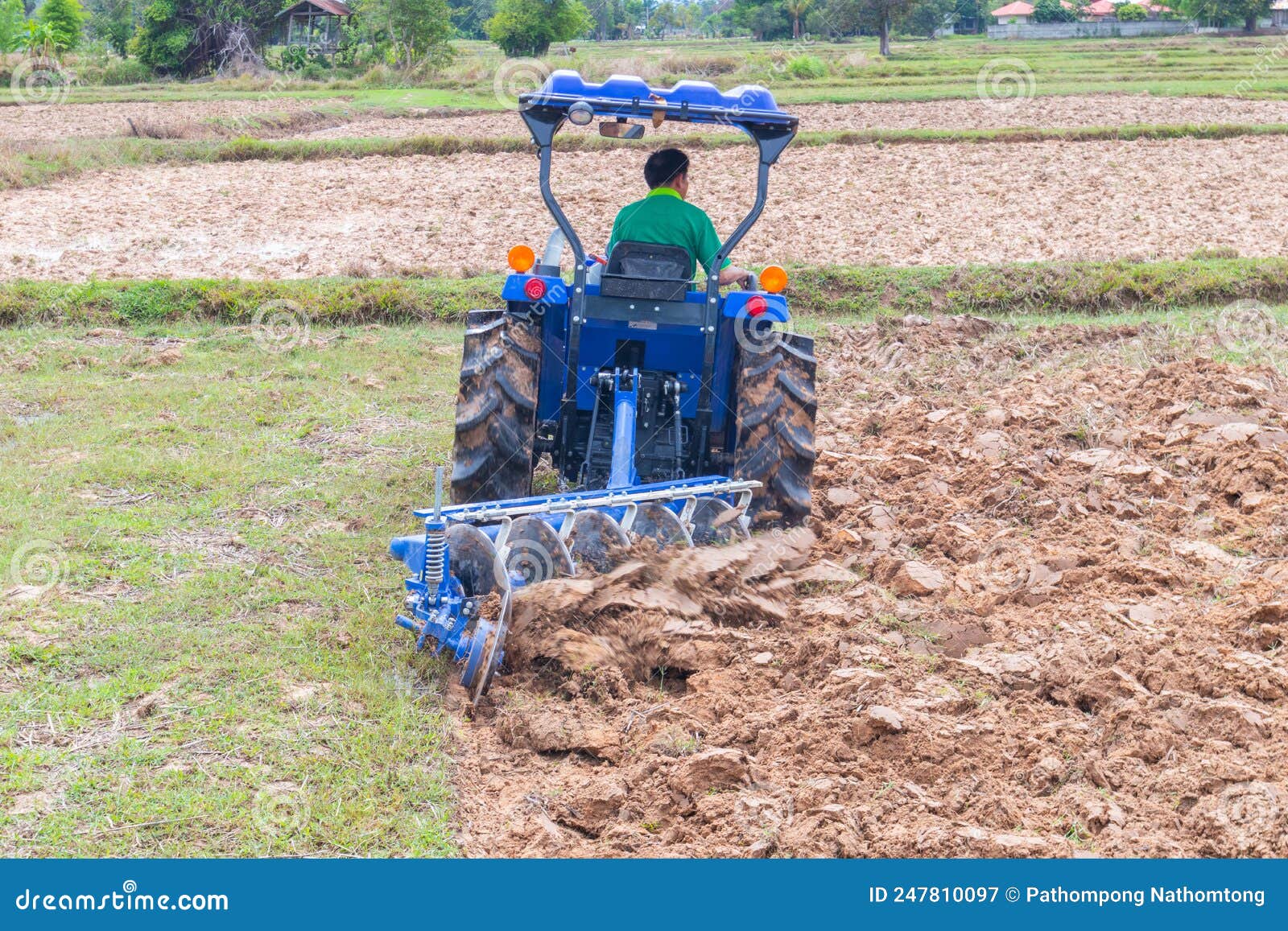 Farmer Ride Tractor Truck in Rice Stock Image - Image of farming ...