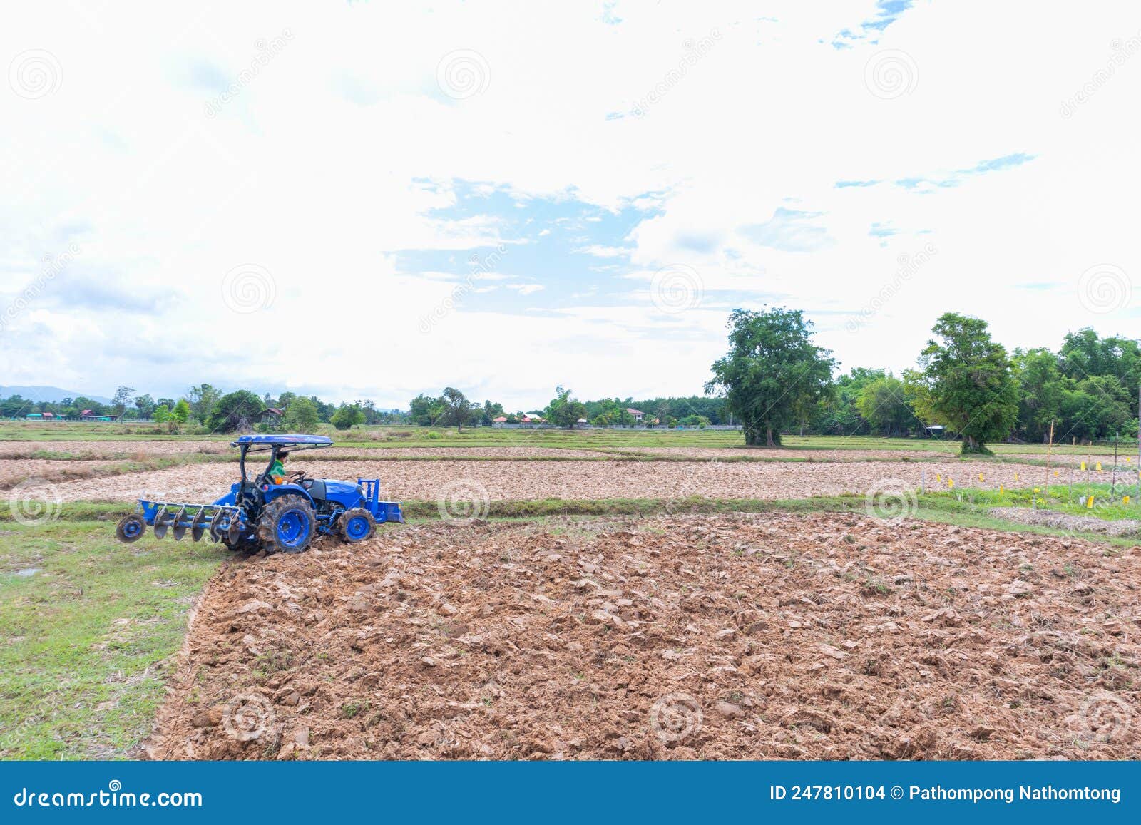 Farmer Ride Tractor Truck in Rice Stock Photo - Image of equipment ...