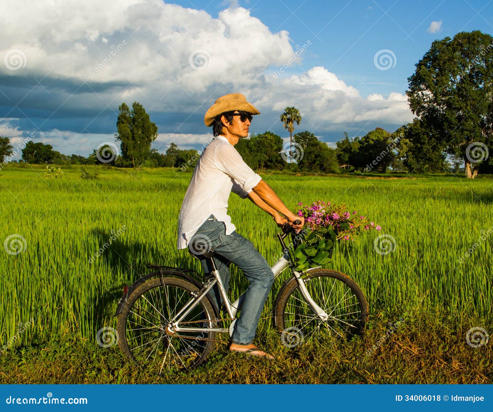 Farmer riding bicycle stock photo. Image of lifestyle - 34006018
