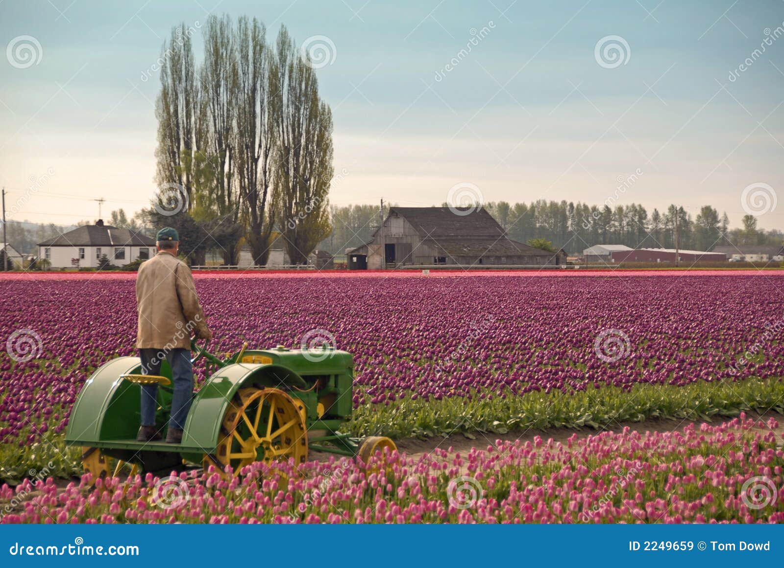 Farmer Riding His Tractor editorial stock image. Image of equipment ...
