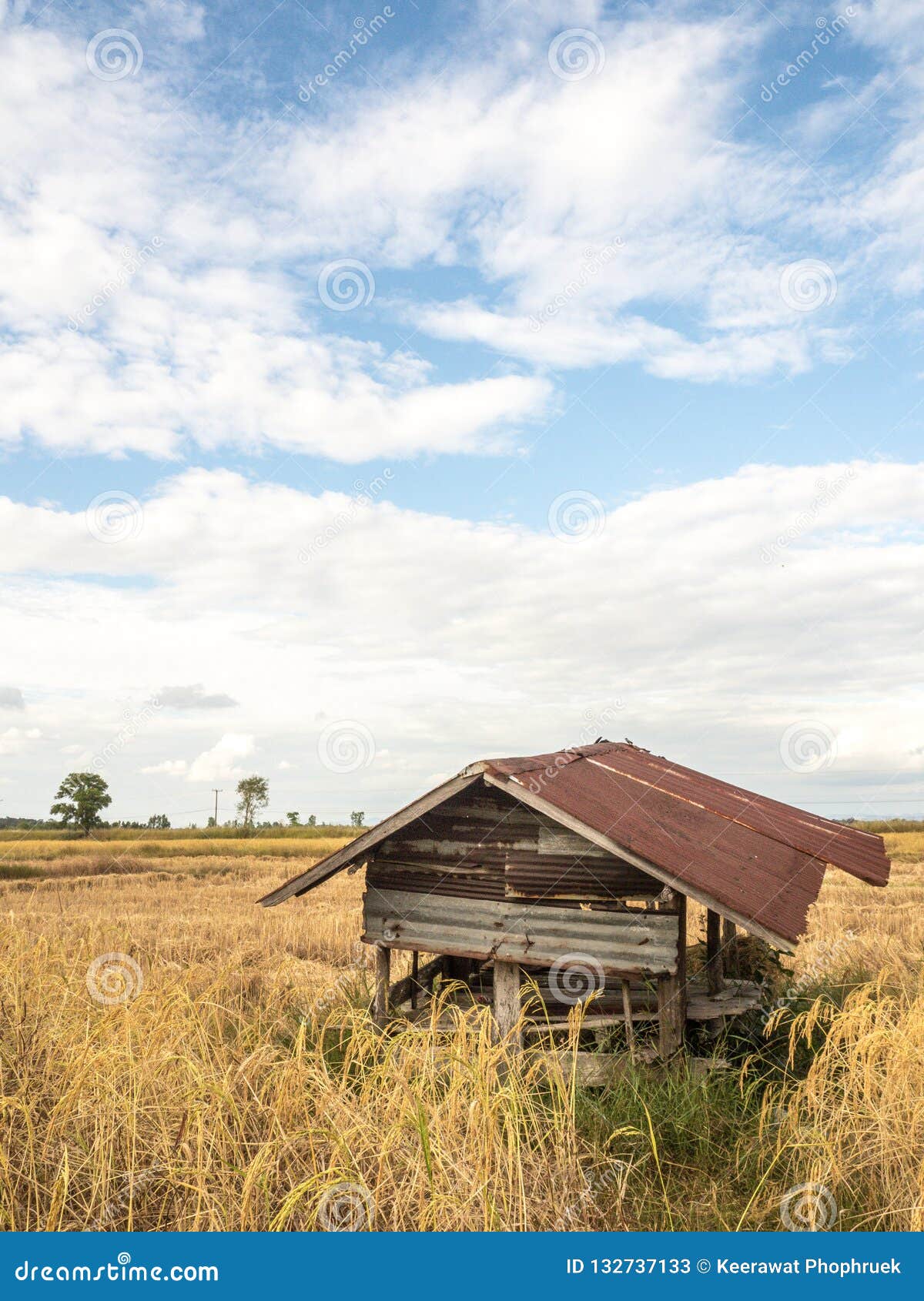 The farmer s cottage stock image. Image of country, beautiful - 132737133