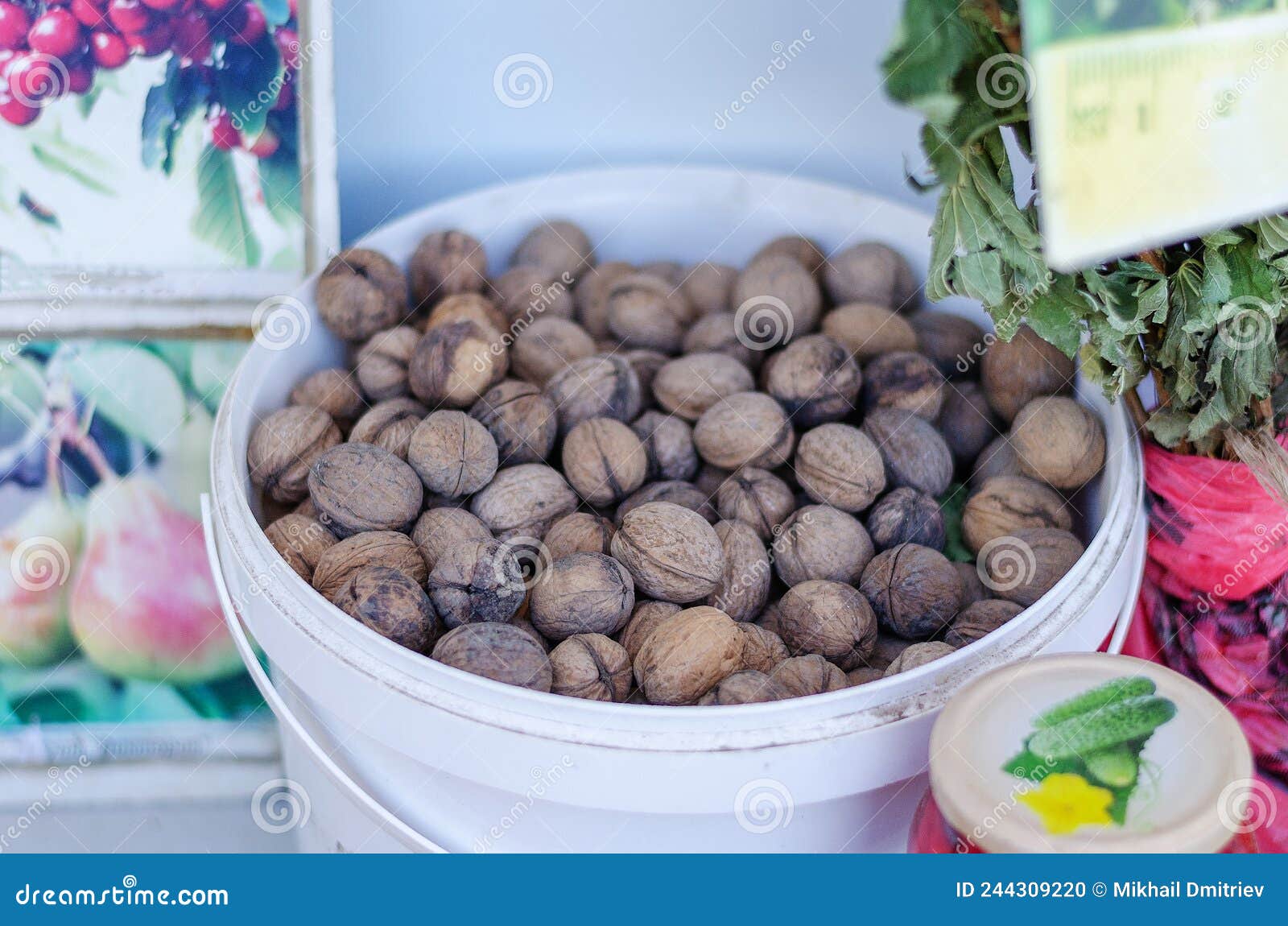 Farmer`s Fair. Ripe Walnuts in a White Plastic Bucket Stock Photo ...