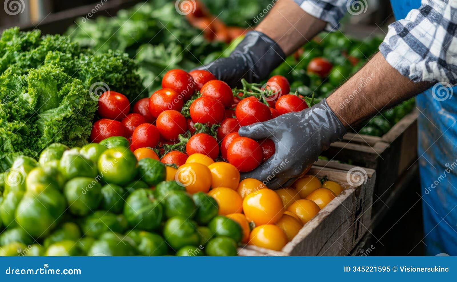 Sorting Fresh Green Apples For Packaging On A Modern Production Line ...