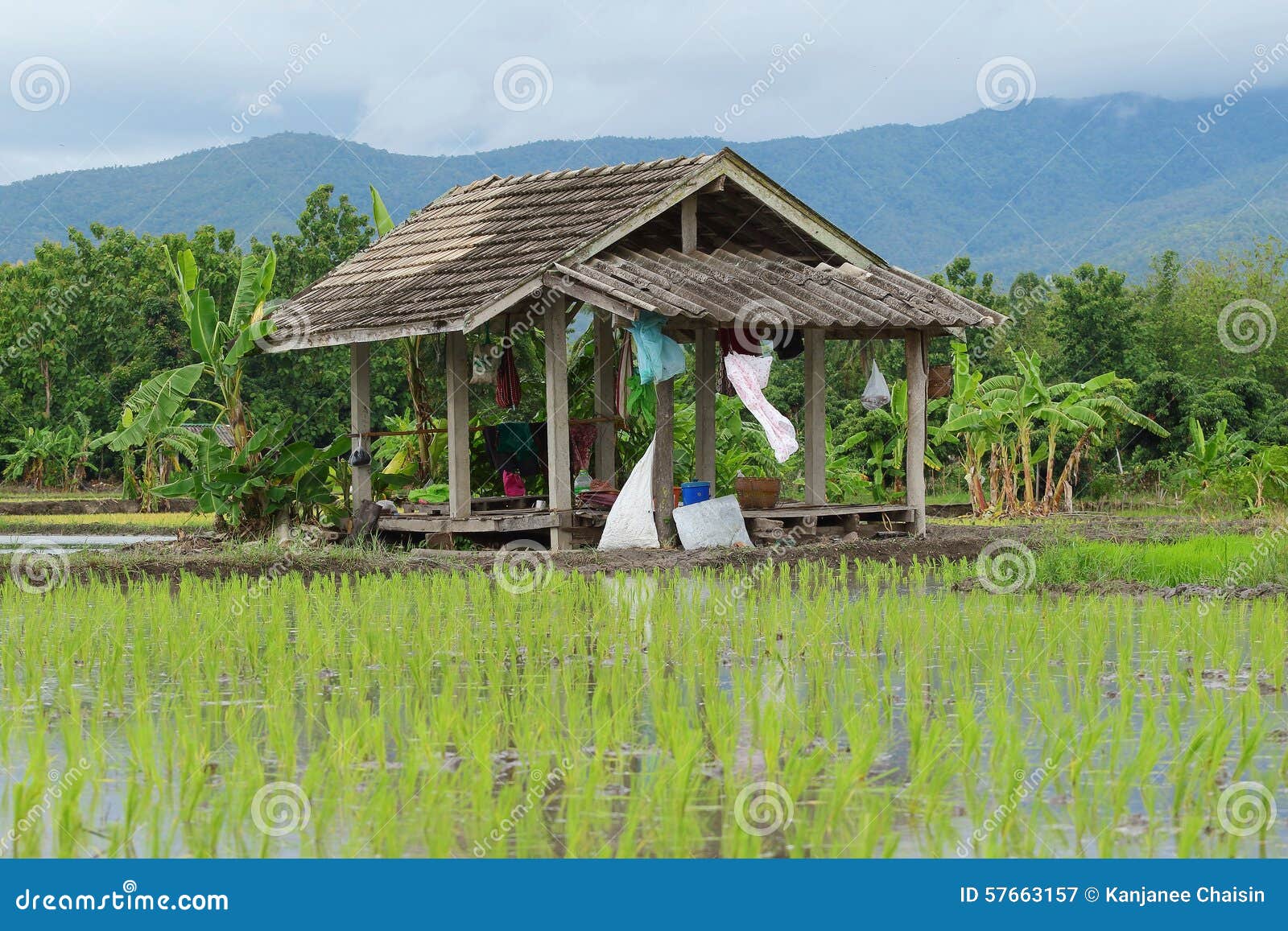 The farmer s hut stock image. Image of farming, plant - 57663157