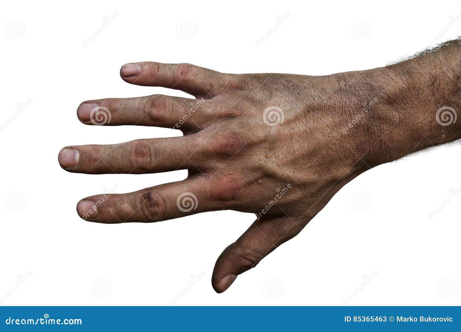 Farmer`s Rough Hand Isolated on White Stock Image - Image of vein ...