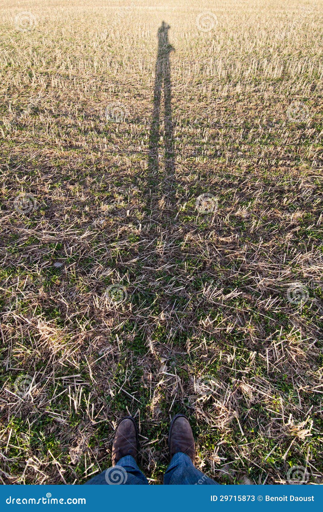 Farmer s shadow stock image. Image of gold, farmer, grass - 29715873