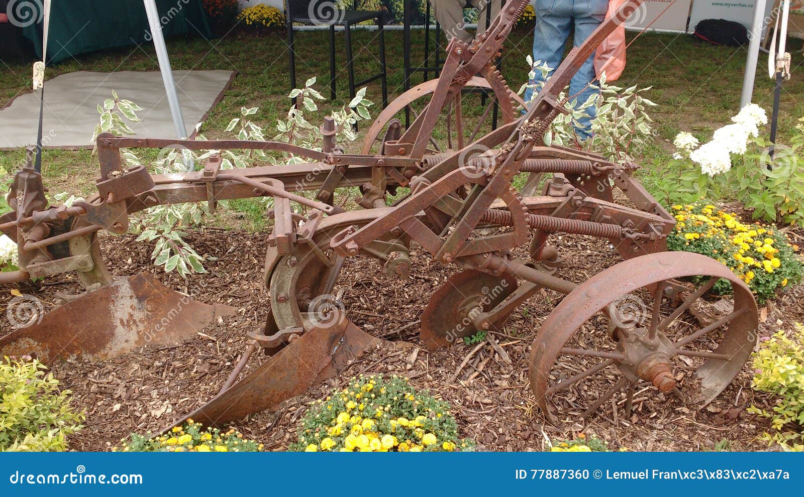 Farmer s tool editorial image. Image of yard, grass, fatms - 77887360