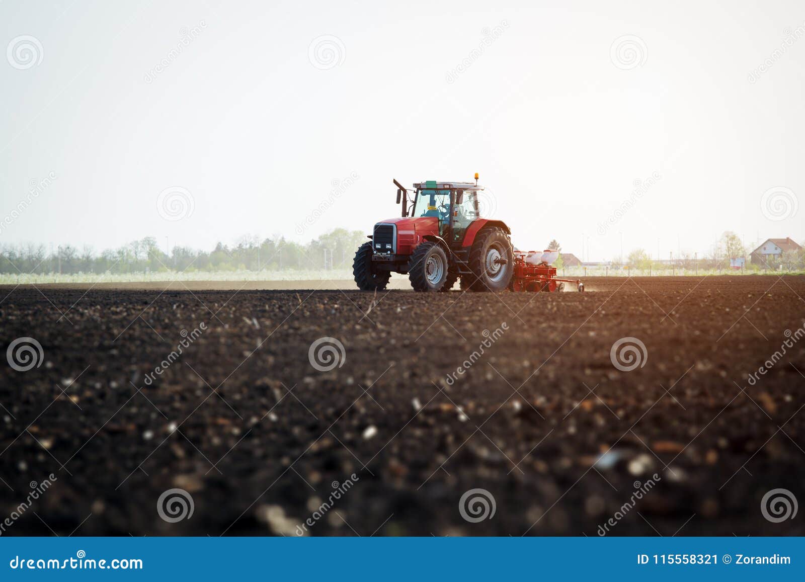 Farmer Seeding Crops at Field Stock Image - Image of farm, seed: 115558321