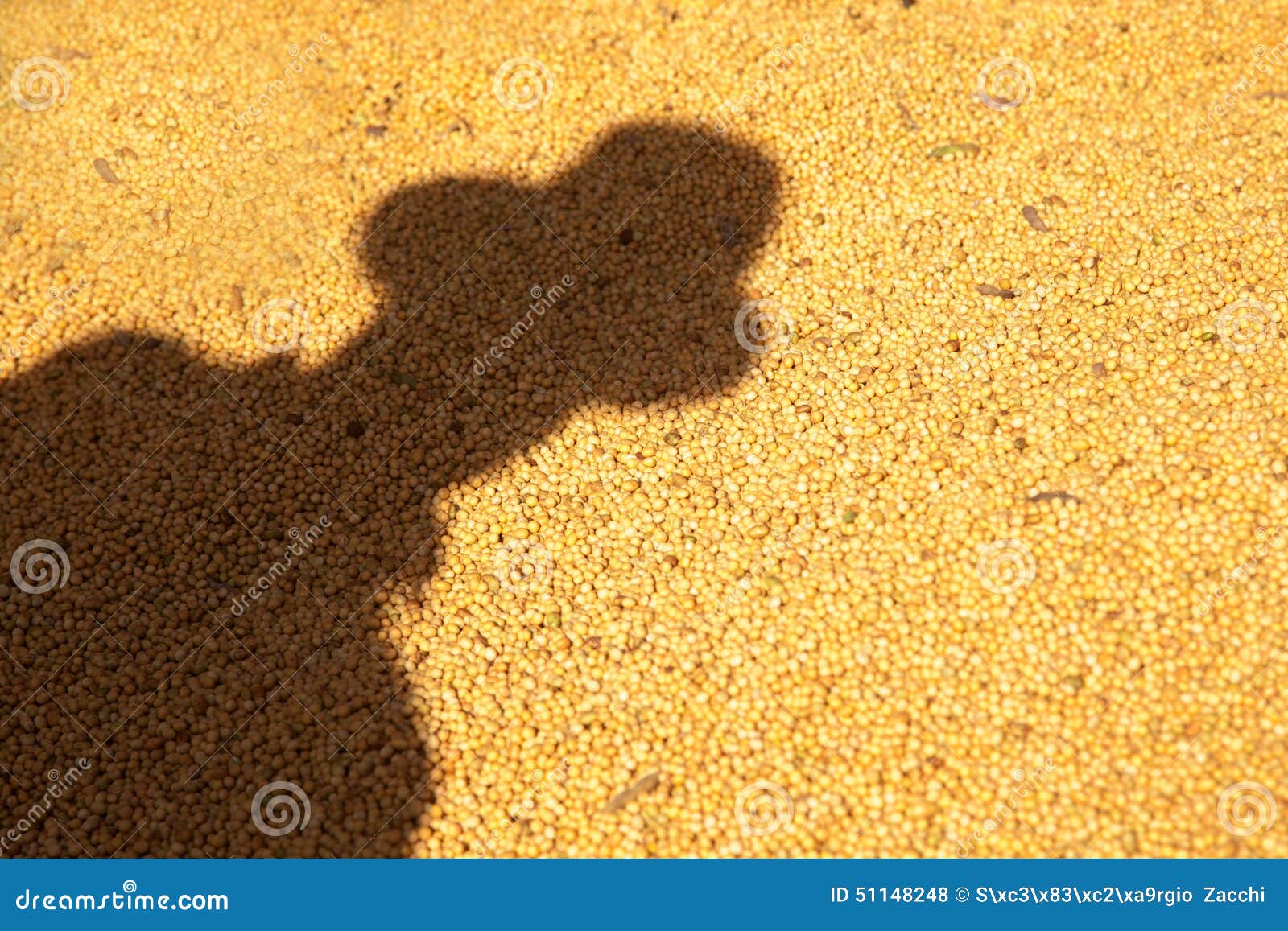 2,351 Farmer Shadow Photos - Free & Royalty-Free Stock Photos from ...