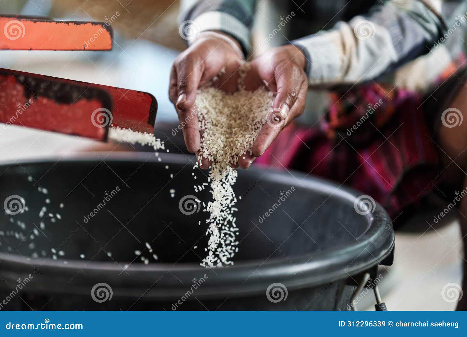 A Farmer Shows Rice Being Milled Using a Rice Mill on His Hand Stock ...