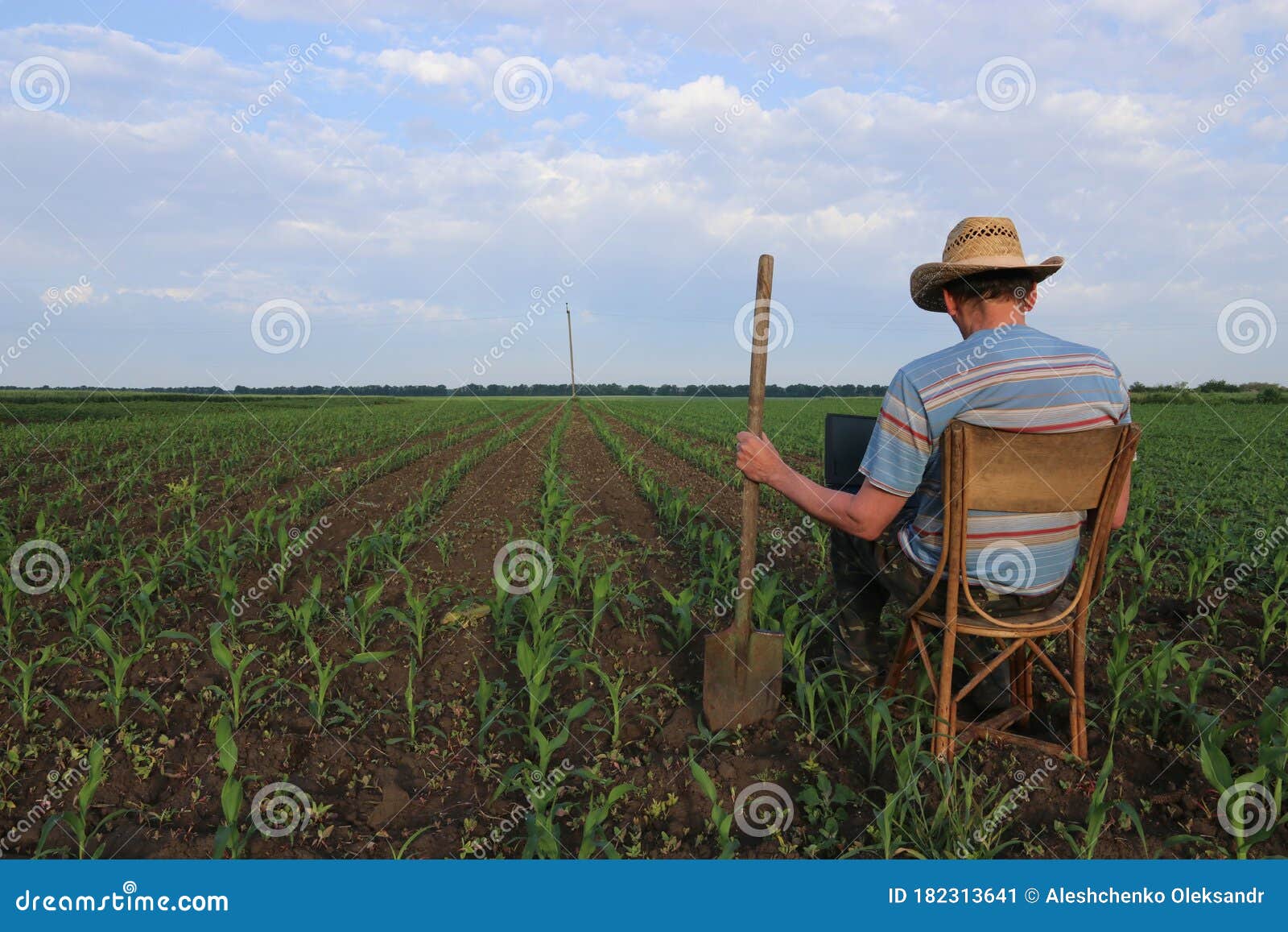 Farmer Sits on a Chair in a Corn Field. Stock Image - Image of breaking ...