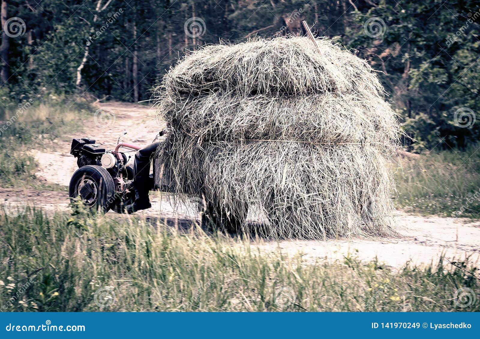 Farmer on a Small Tractor Carrying Hay. Stock Image - Image of meadow ...